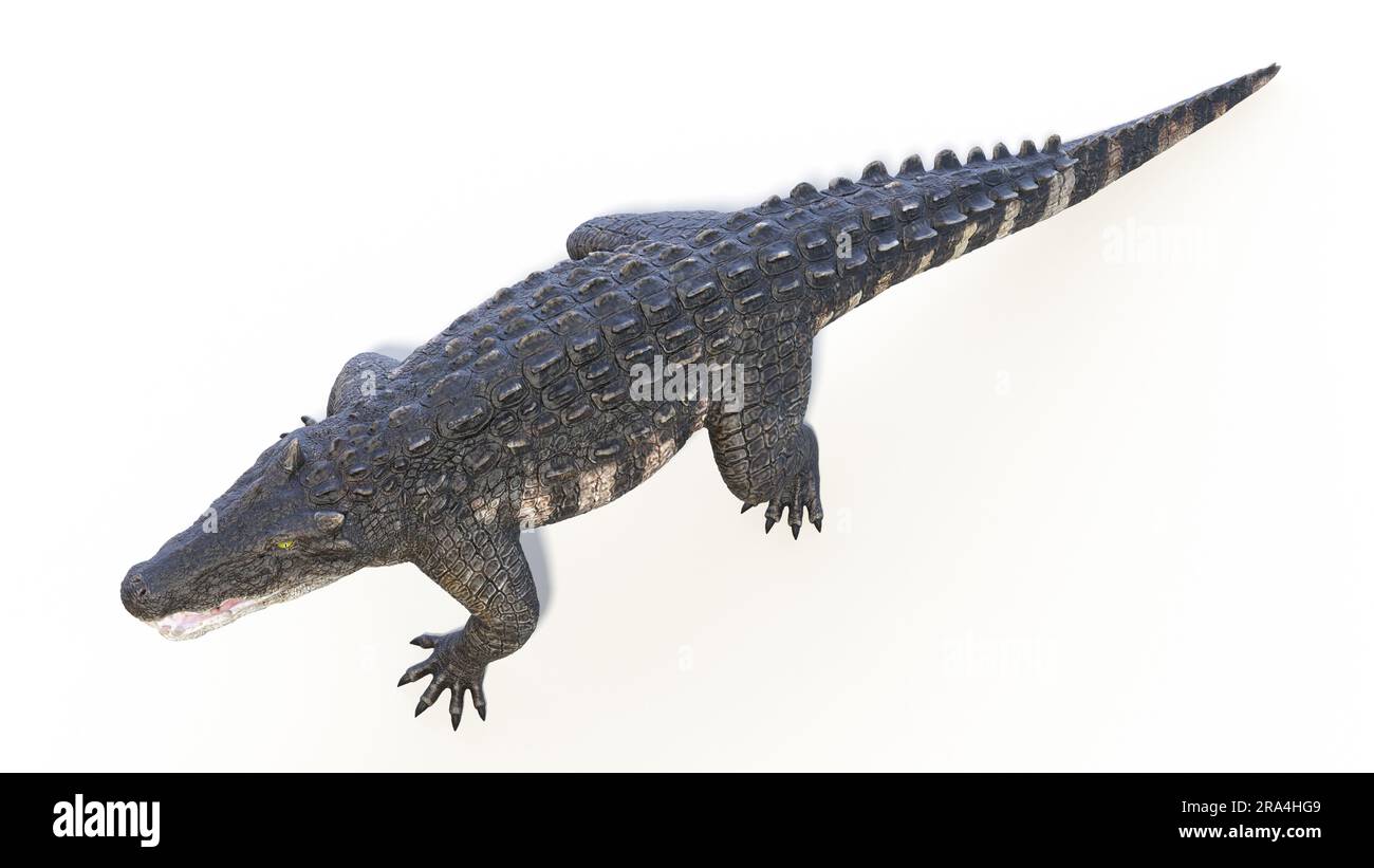 Kaprosuchus prehistoric crocodile, illustration Stock Photo - Alamy