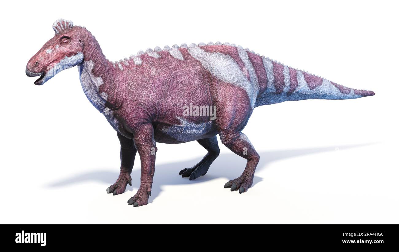 Edmontosaurus Les Dinosaures En Detail