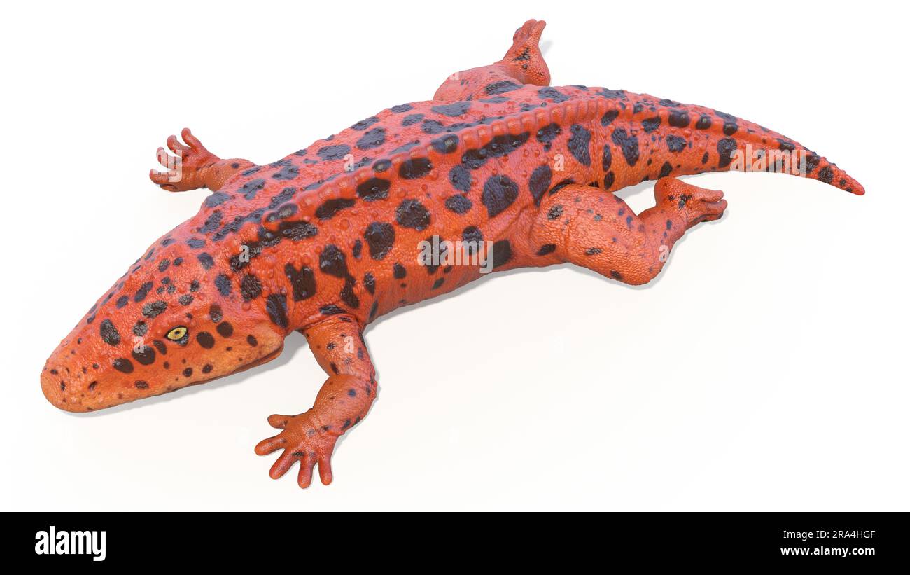 Eryops prehistoric amphibian, illustration Stock Photo - Alamy