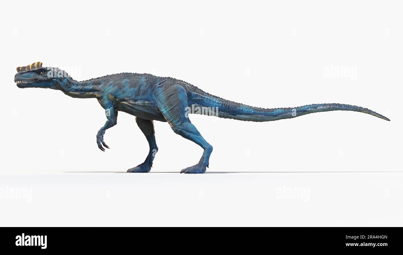 Proceratosaurus dinosaur, illustration Stock Photo - Alamy