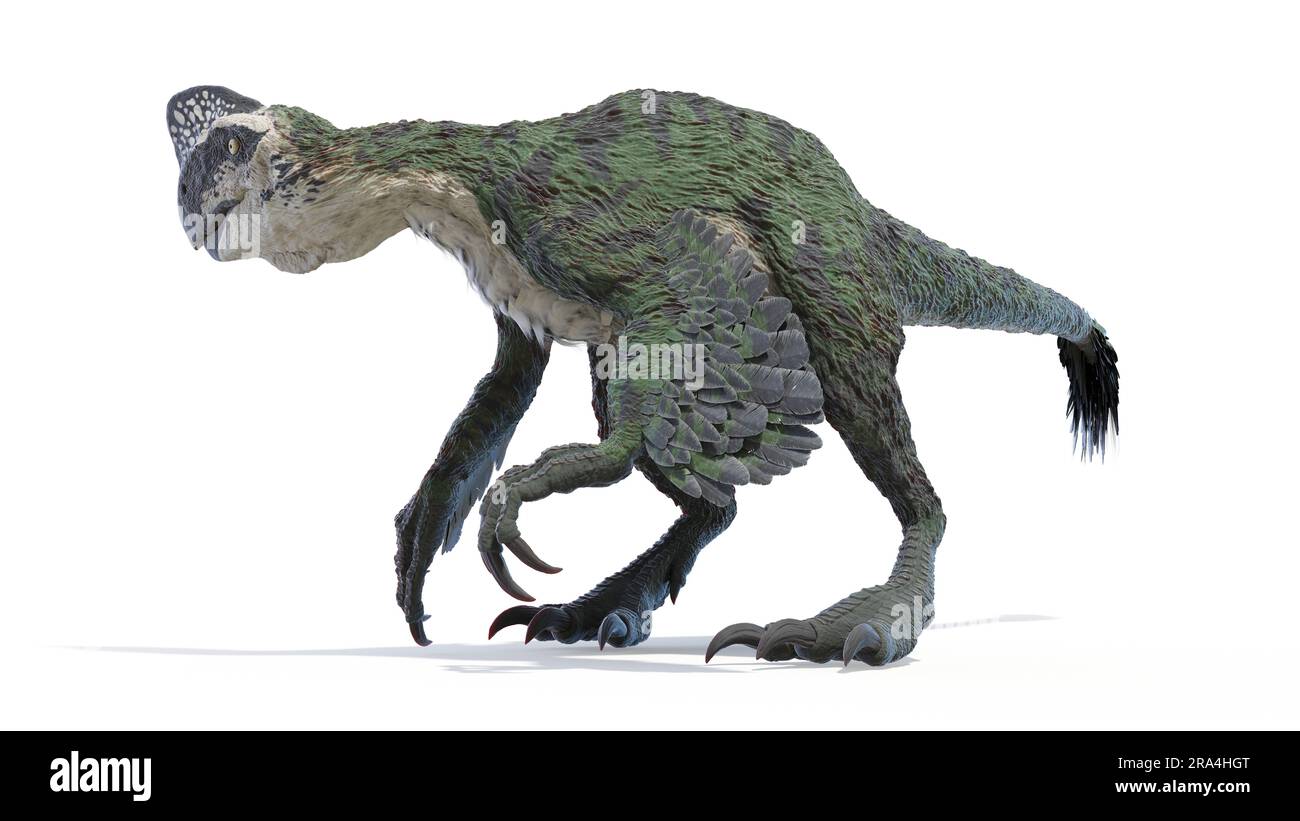 Oviraptor dinosaur, illustration Stock Photo - Alamy