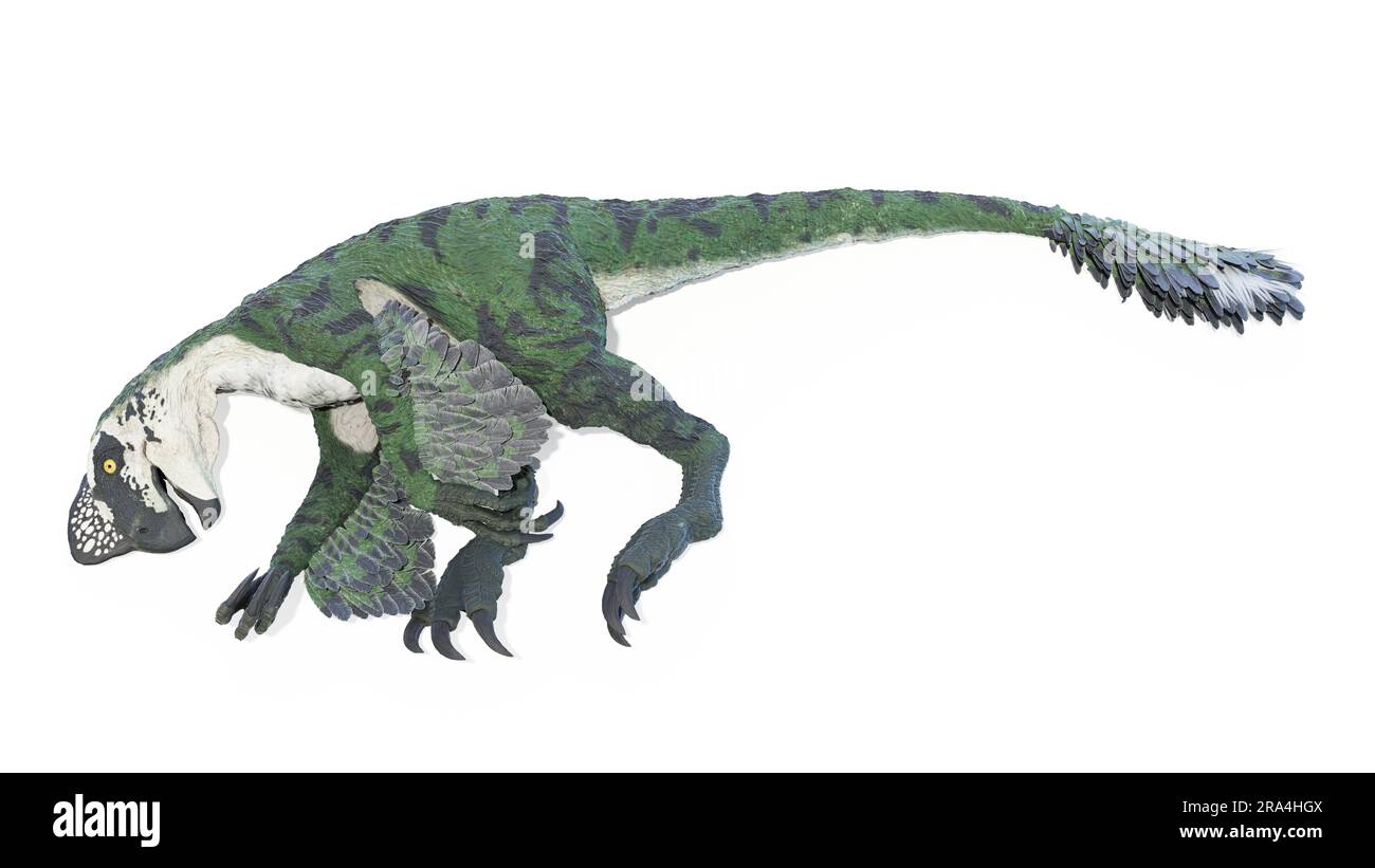 Oviraptor Cut Out Stock Images & Pictures - Alamy