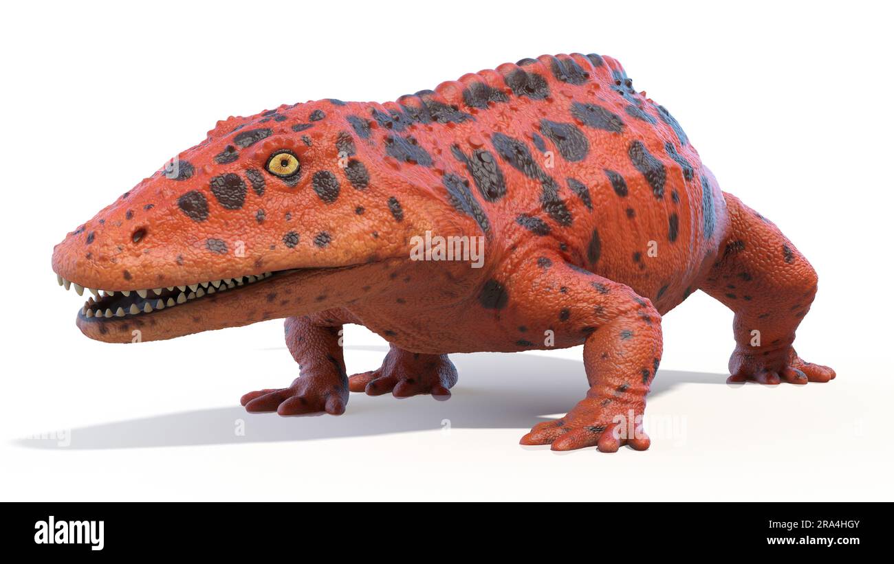 Eryops prehistoric amphibian, illustration Stock Photo - Alamy