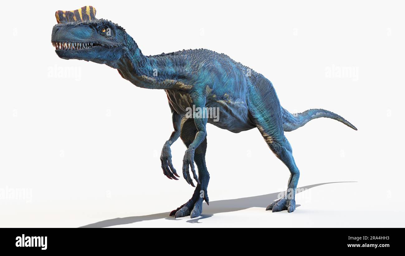 Proceratosaurus dinosaur, illustration Stock Photo - Alamy