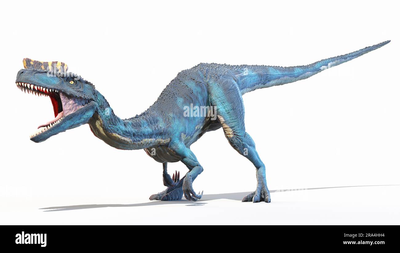 Proceratosaurus dinosaur, illustration Stock Photo - Alamy