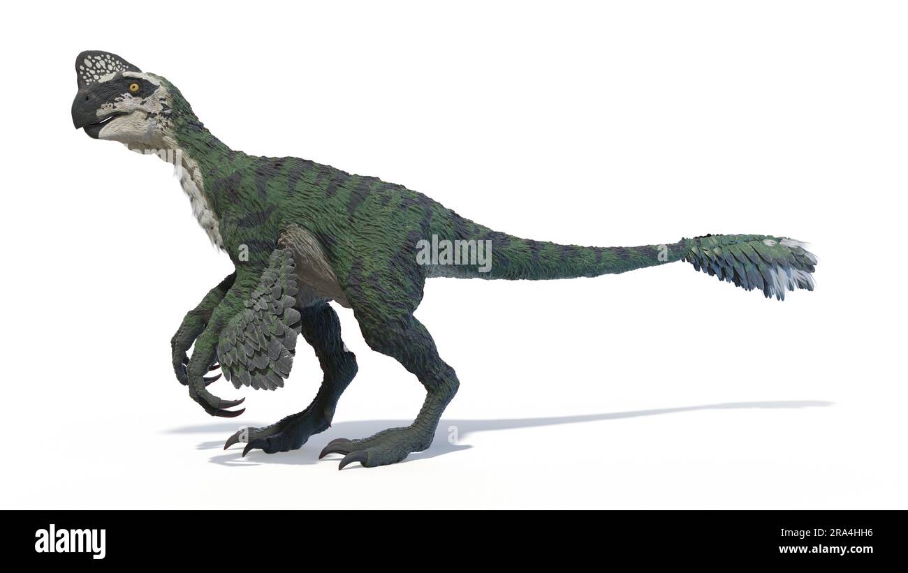 Oviraptor Cut Out Stock Images & Pictures - Alamy