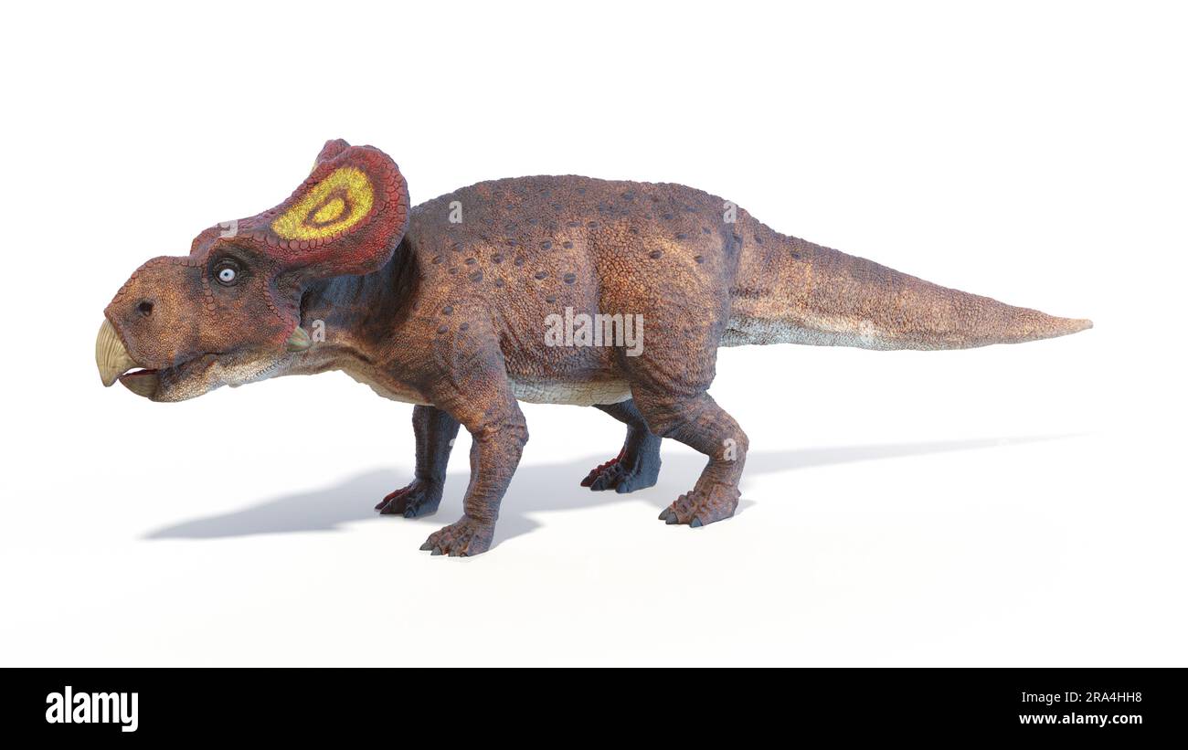 Protoceratops dinosaur, illustration Stock Photo - Alamy