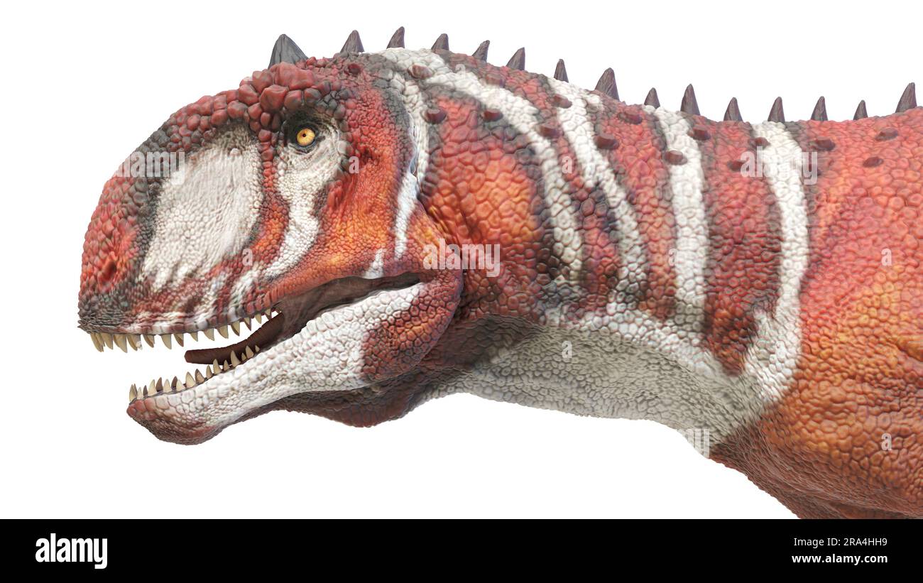 Majungasaurus dinosaur, illustration Stock Photo - Alamy