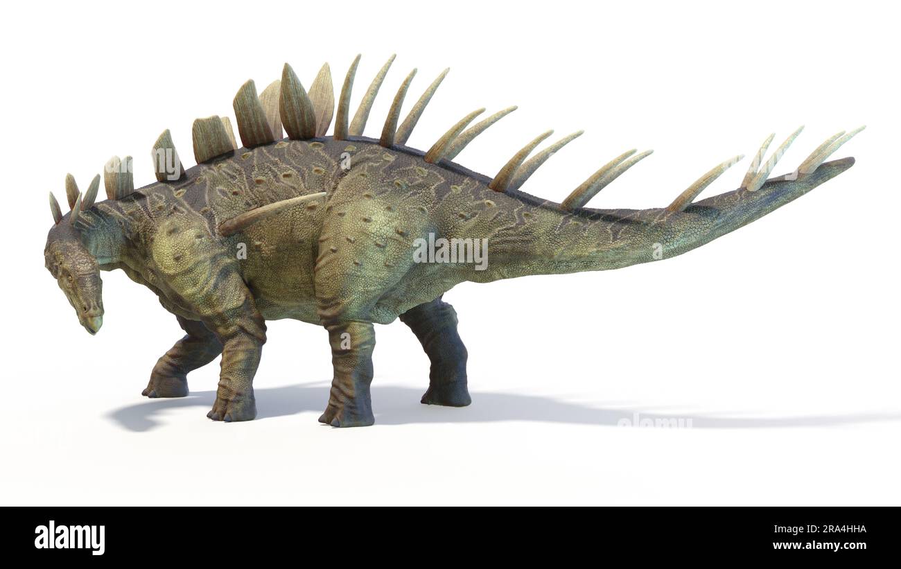 Kentrosaurus dinosaur, illustration Stock Photo - Alamy