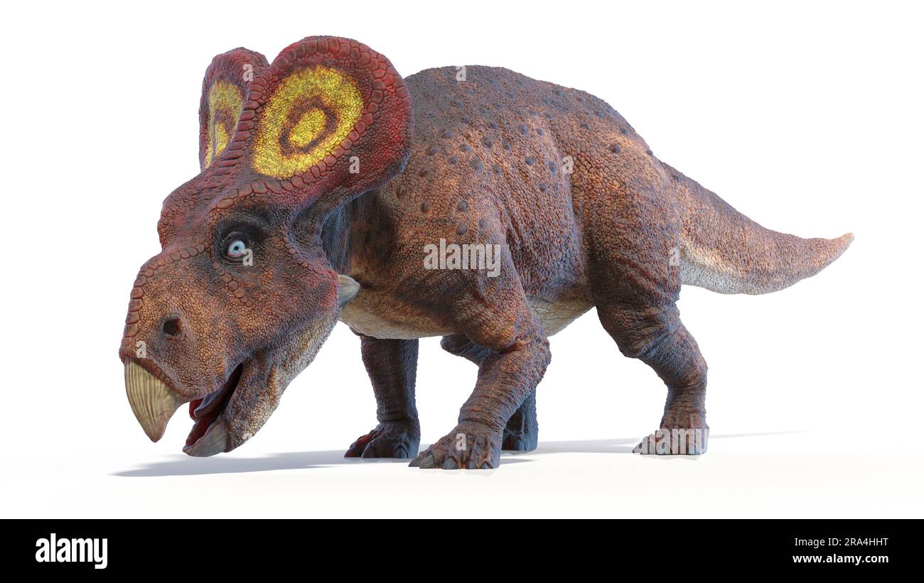 Protoceratops dinosaur, illustration Stock Photo - Alamy
