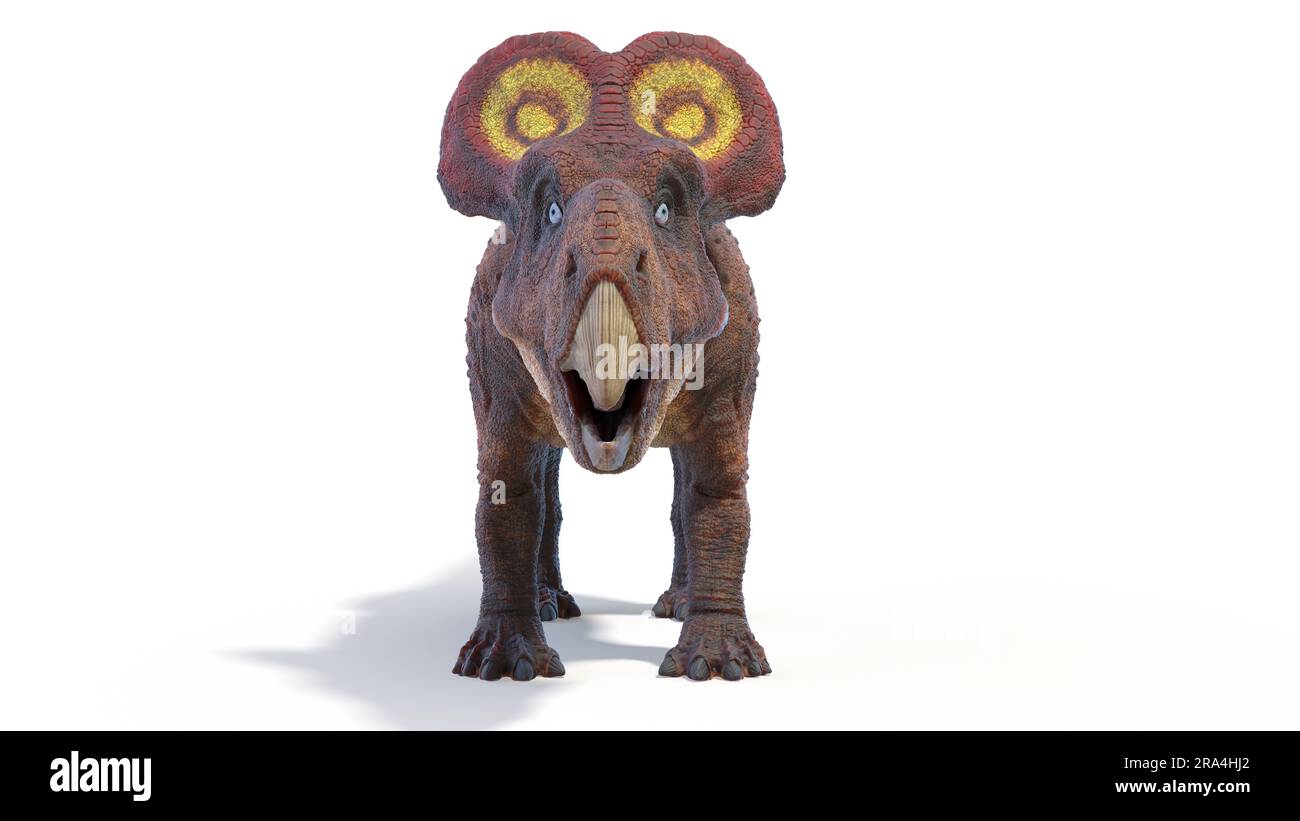 Protoceratops dinosaur, illustration Stock Photo - Alamy