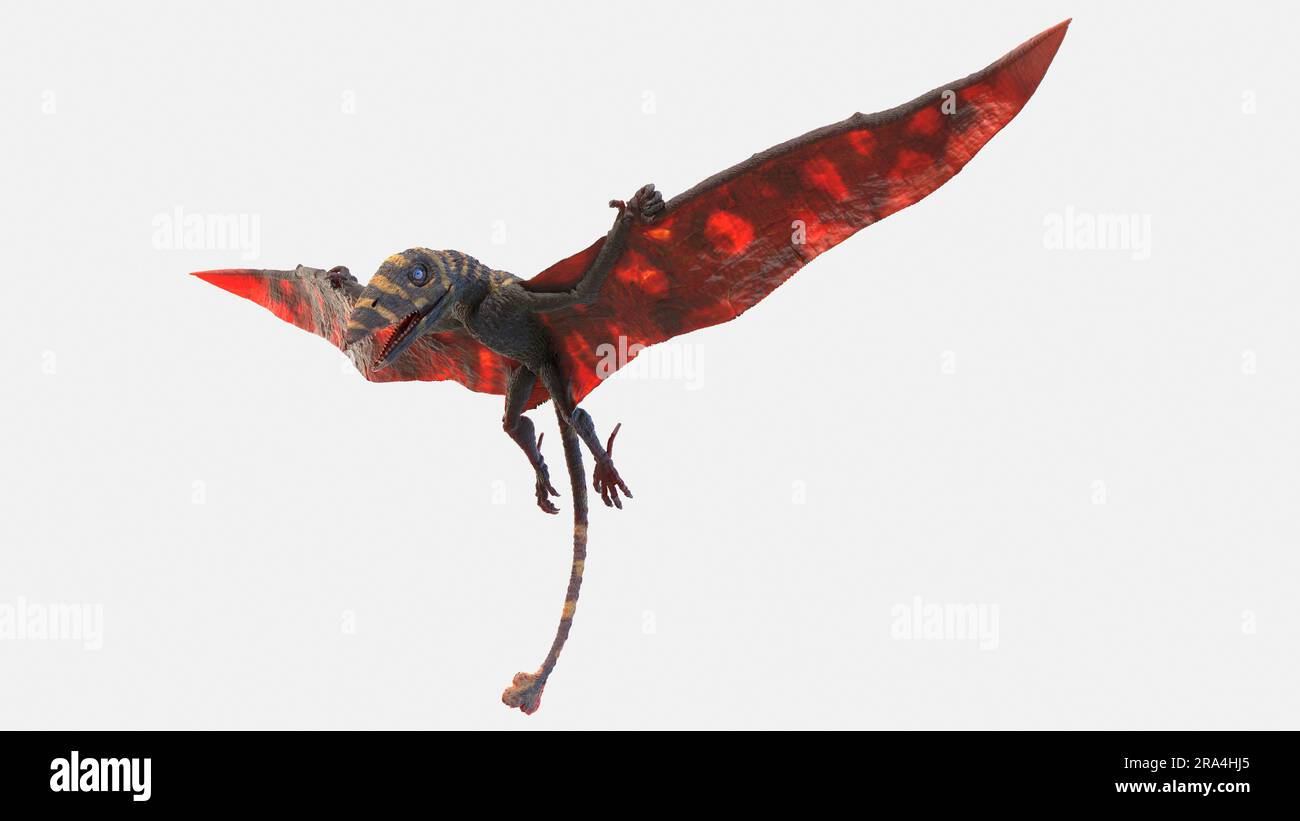 No pterosaur hi-res stock photography and images - Alamy