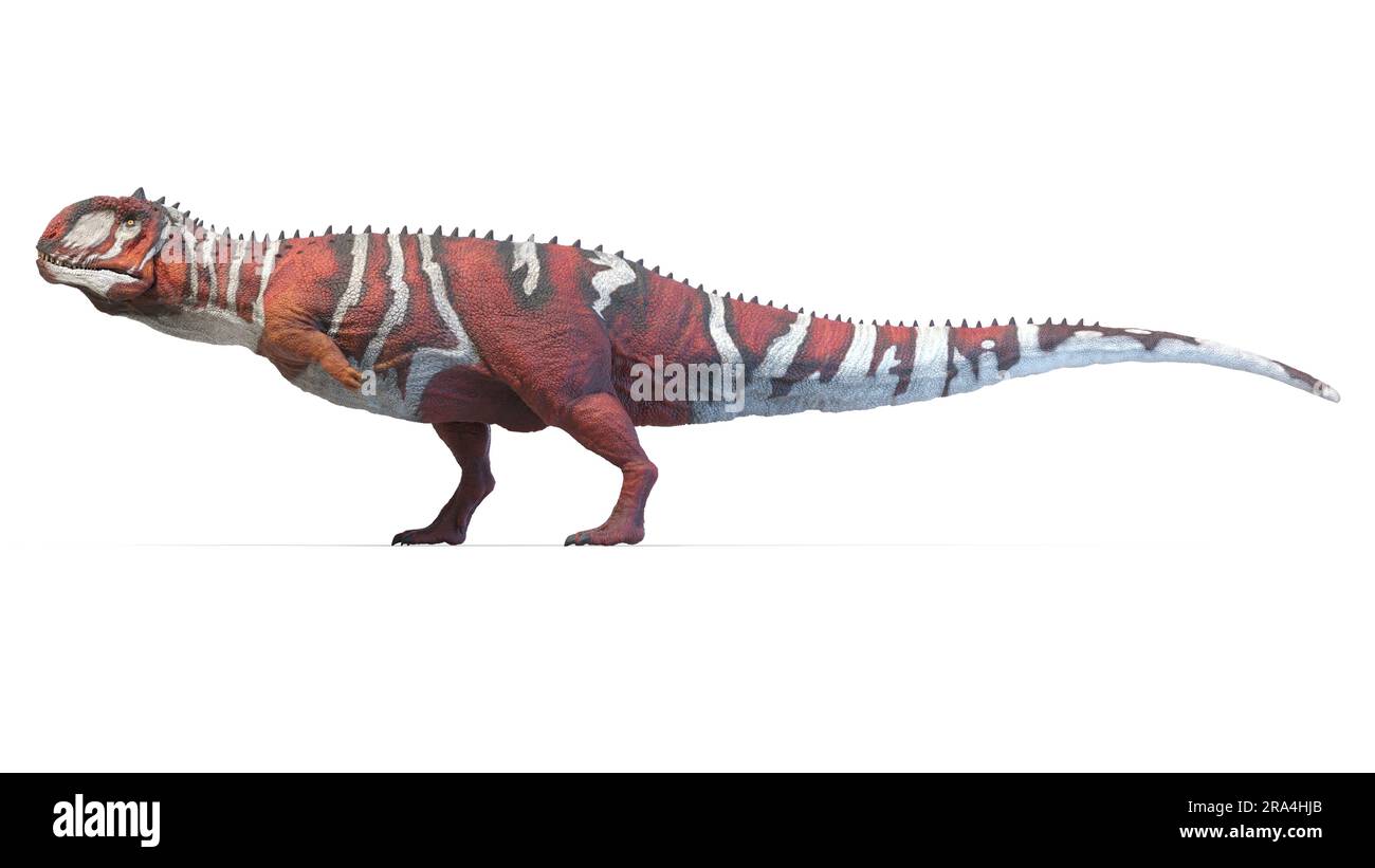 Majungasaurus fossil hi-res stock photography and images - Alamy