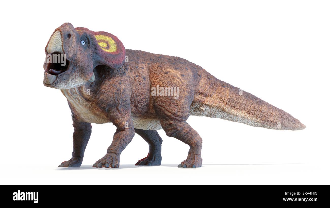 Protoceratops dinosaur, illustration Stock Photo - Alamy