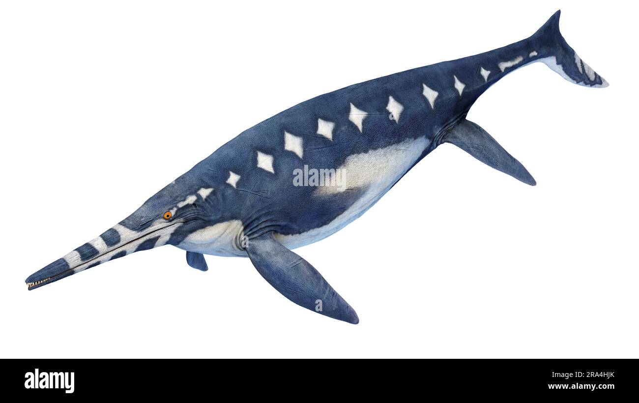 Shonisaurus Jurassic Park Royal Tyrrell Museum Of Palaeontology At