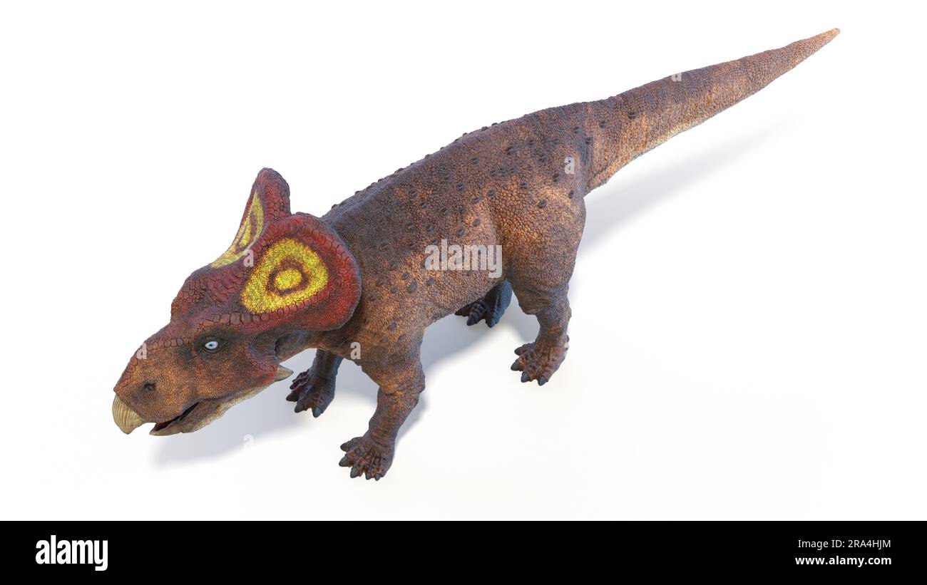 Protoceratops fossil hi-res stock photography and images - Alamy