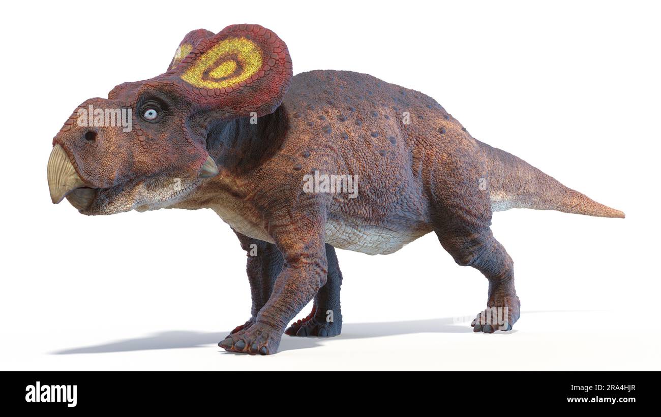 Protoceratops dinosaur, illustration Stock Photo - Alamy