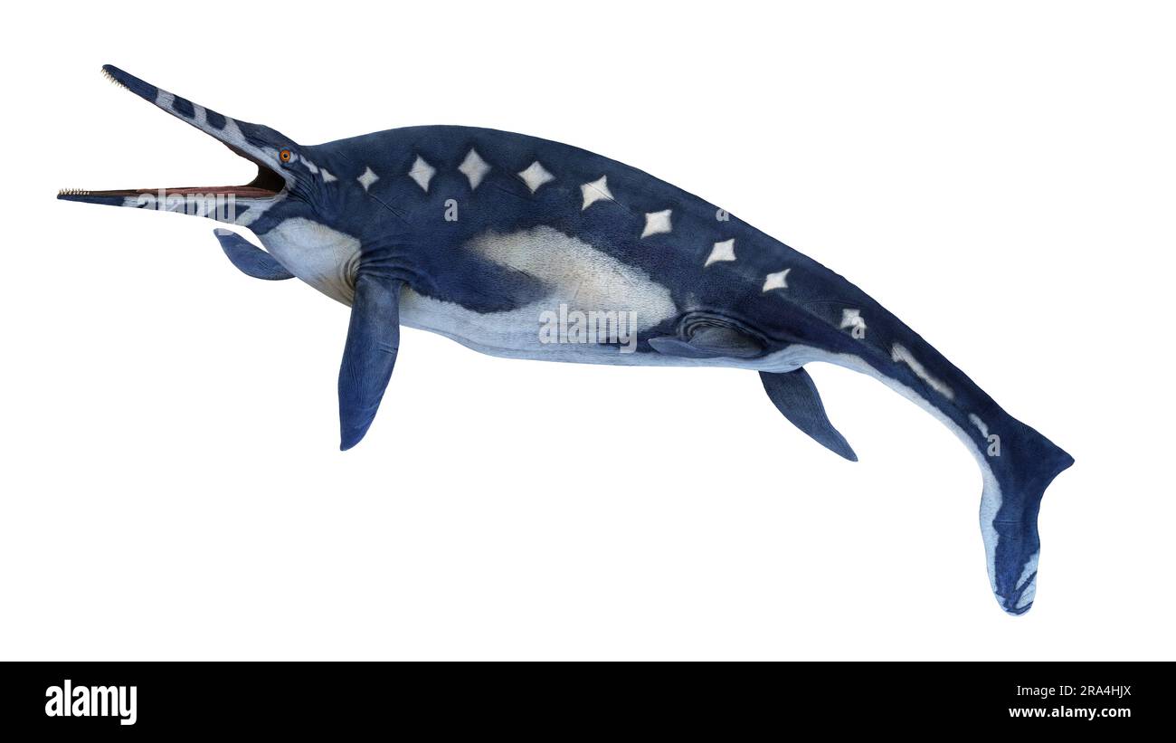 Shonisaurus ichthyosaur, illustration Stock Photo - Alamy