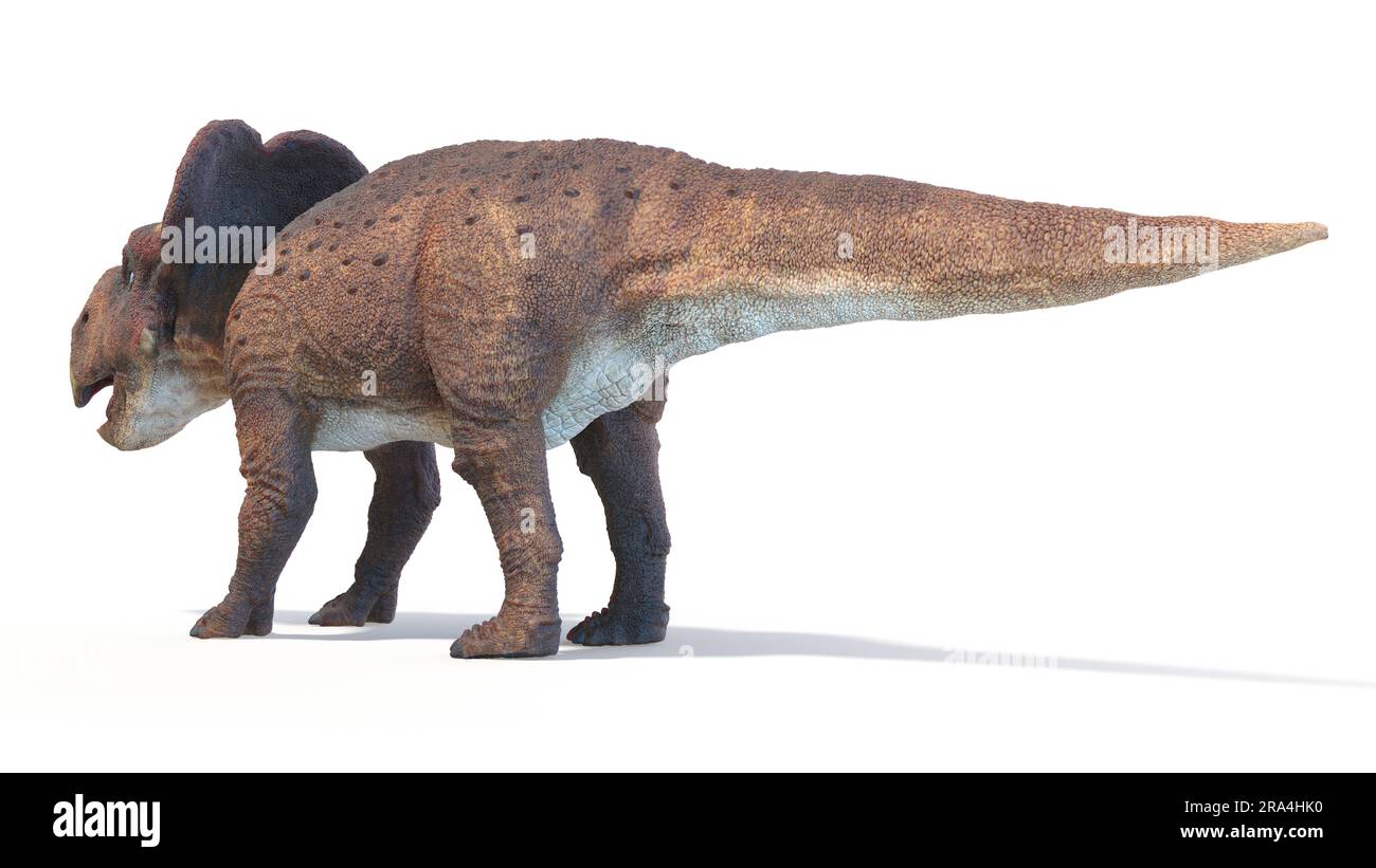 Protoceratops dinosaur, illustration Stock Photo - Alamy