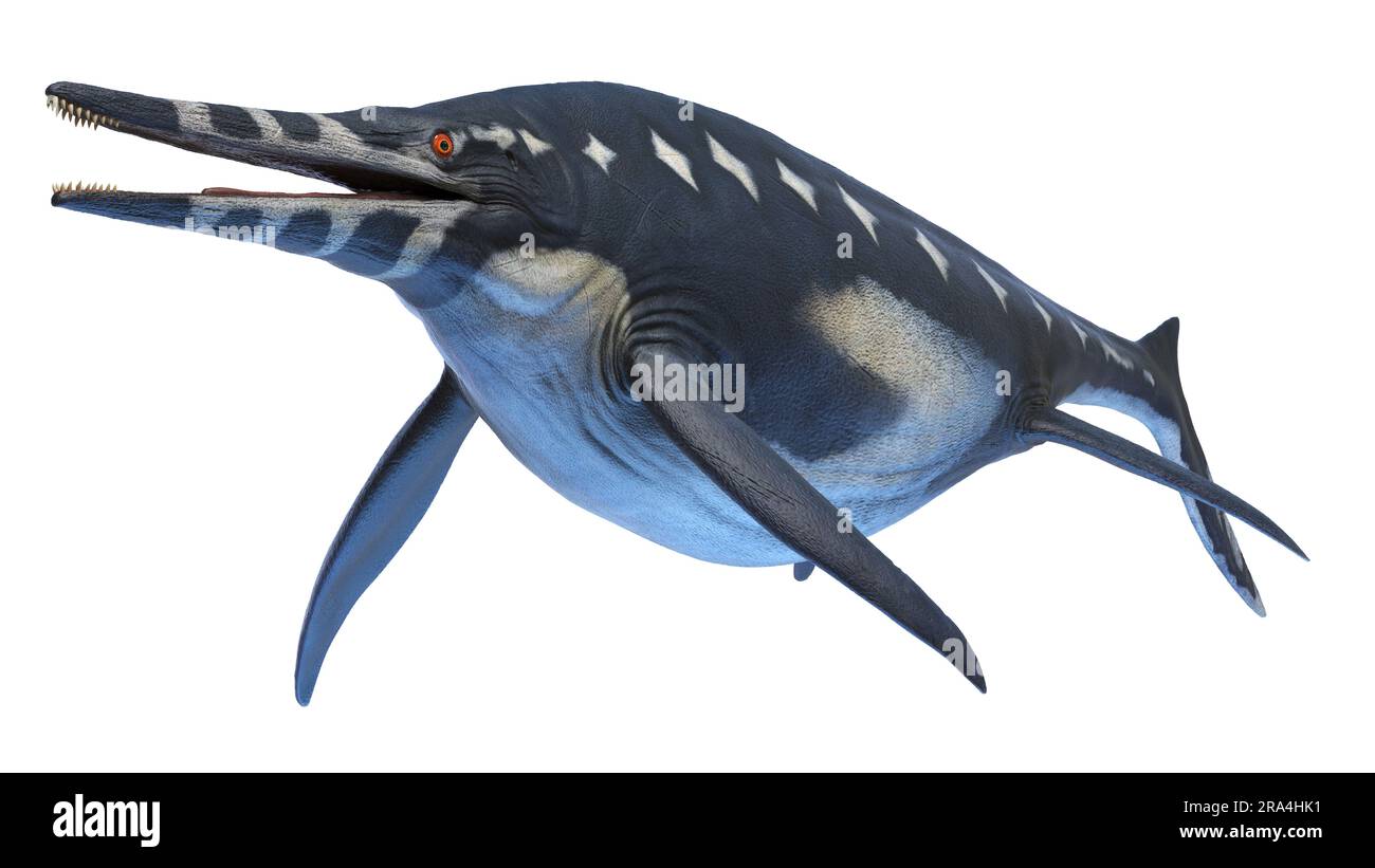 Shonisaurus ichthyosaur, illustration Stock Photo - Alamy