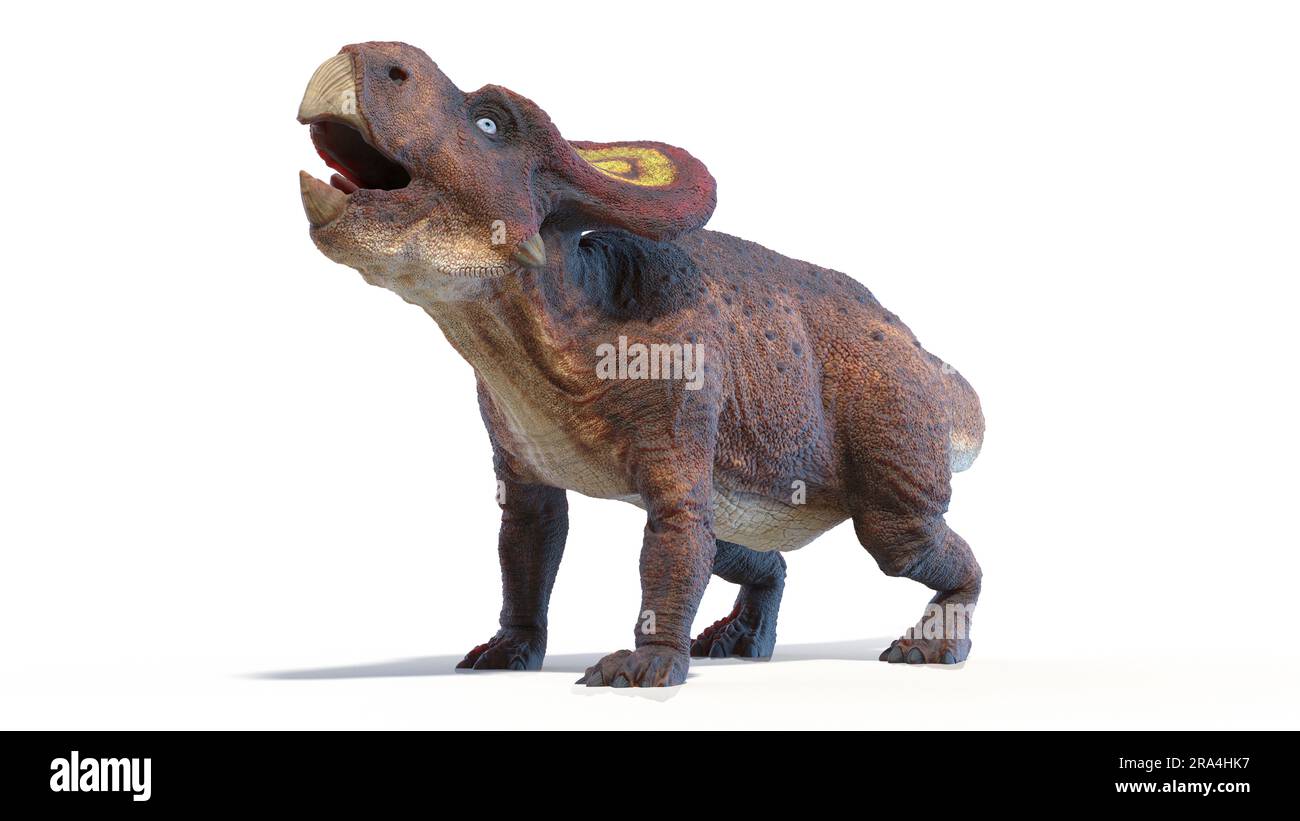 Protoceratops dinosaur, illustration Stock Photo - Alamy
