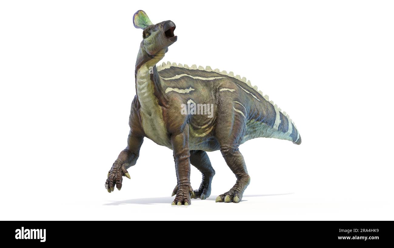 Tsintaosaurus dinosaur, illustration Stock Photo - Alamy
