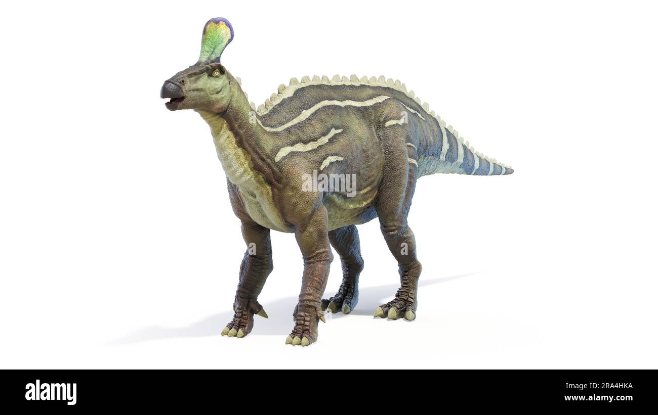 Tsintaosaurus dinosaur, illustration Stock Photo - Alamy