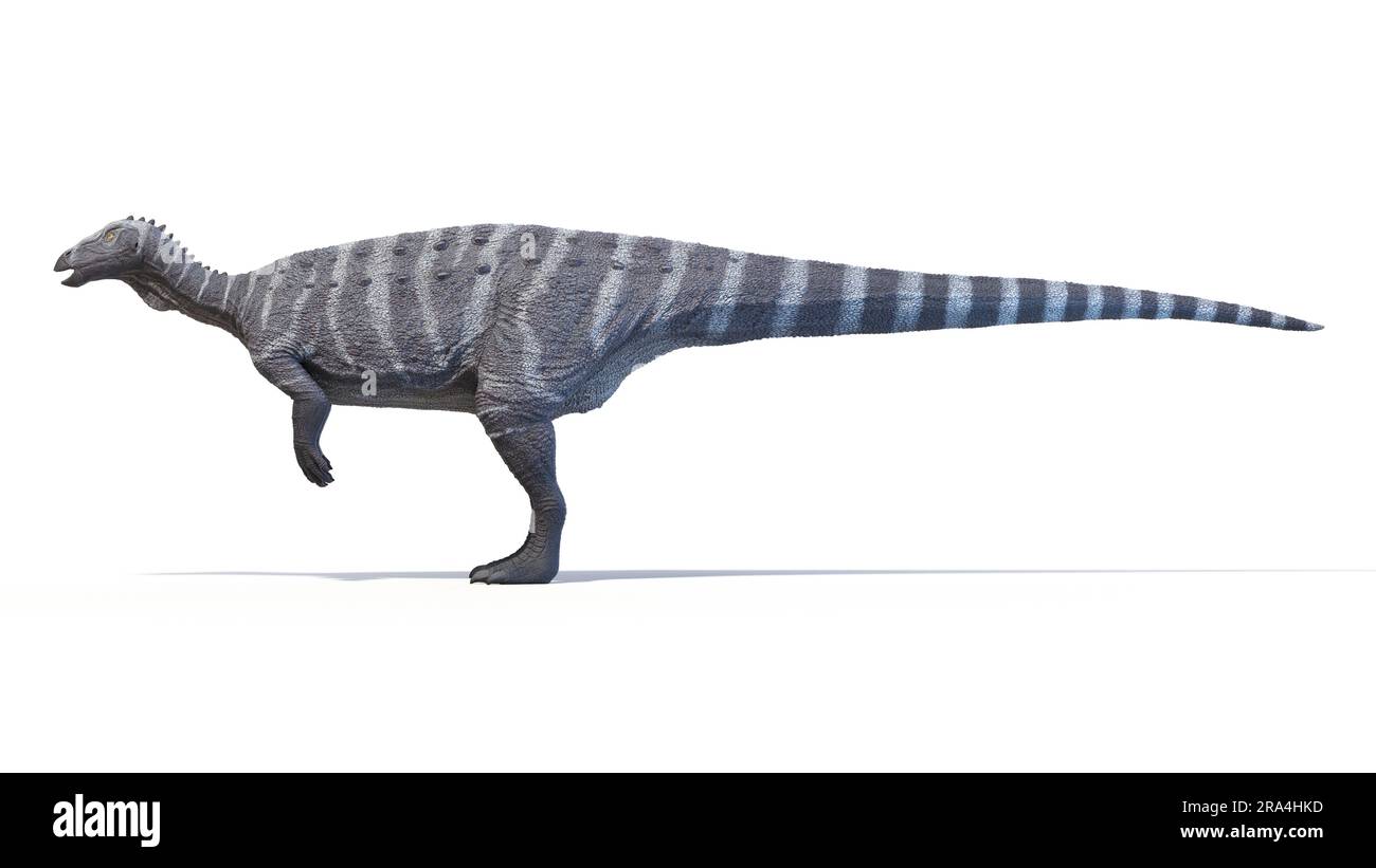 Thescelosaurus dinosaur, illustration Stock Photo - Alamy