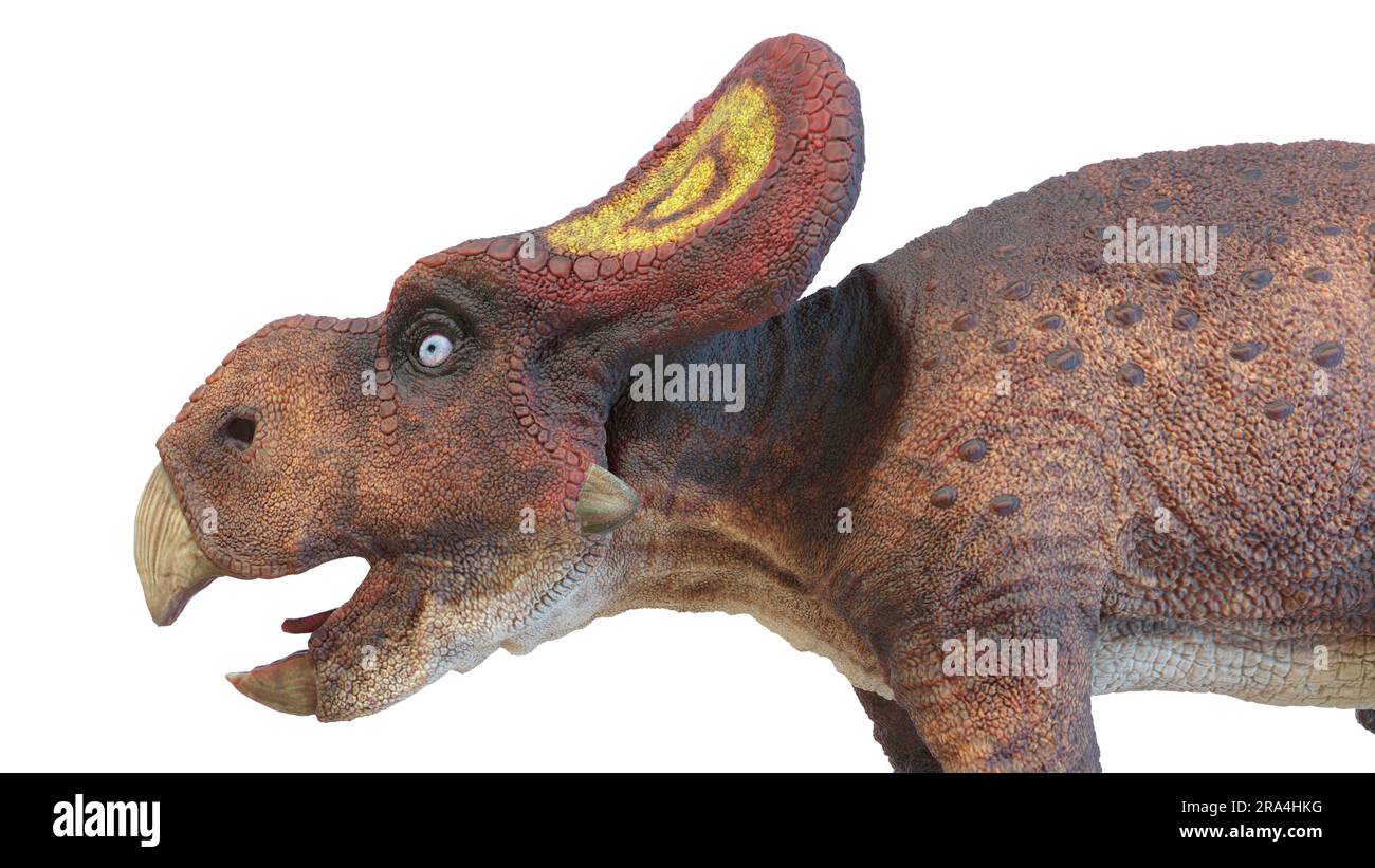 Protoceratops dinosaur, illustration Stock Photo - Alamy