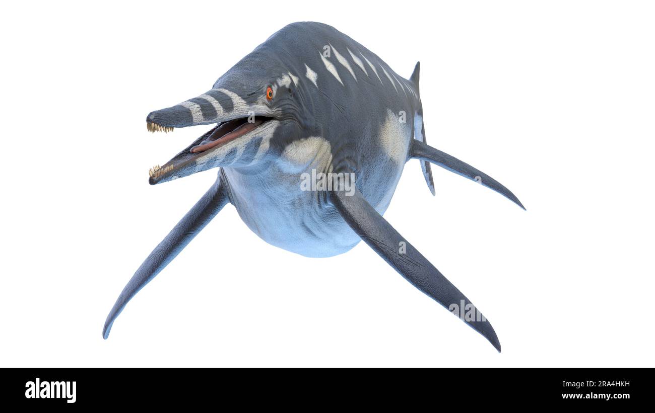 Shonisaurus ichthyosaur, illustration Stock Photo - Alamy
