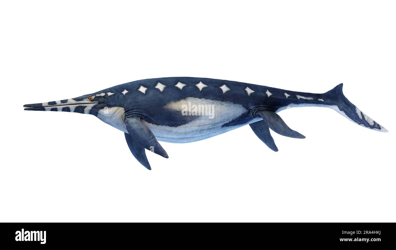 Shonisaurus ichthyosaur, illustration Stock Photo - Alamy