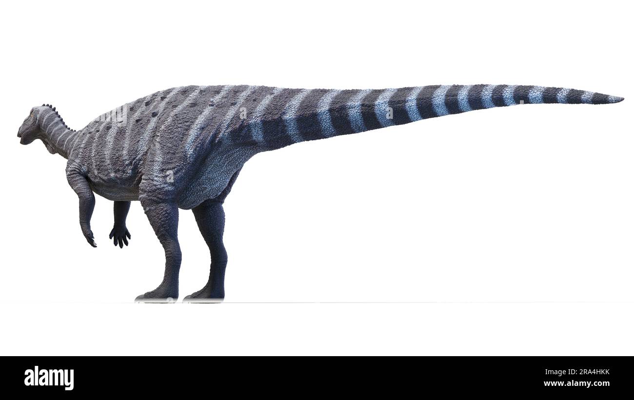 Thescelosaurus dinosaur, illustration Stock Photo - Alamy
