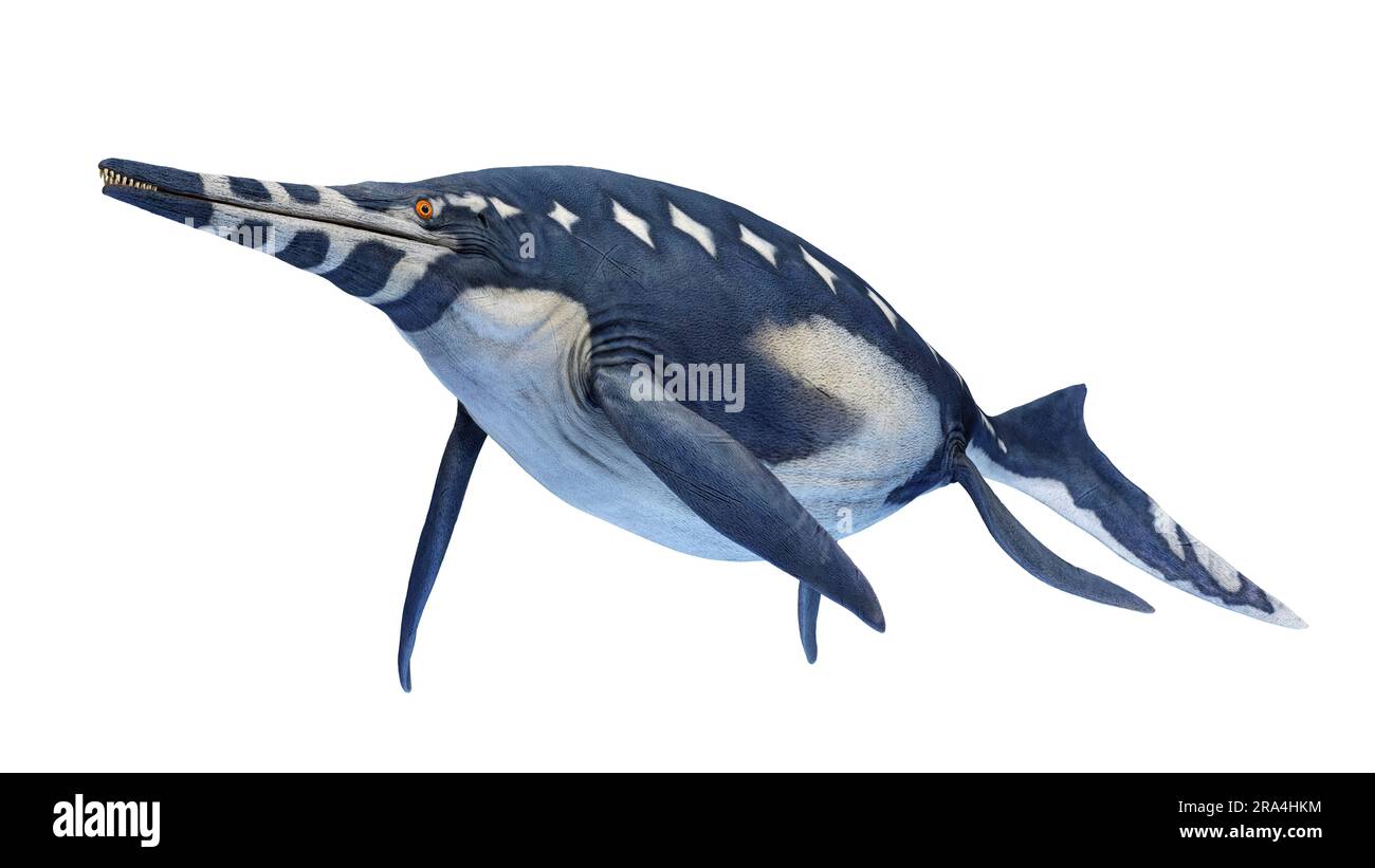 Shonisaurus ichthyosaur, illustration Stock Photo - Alamy