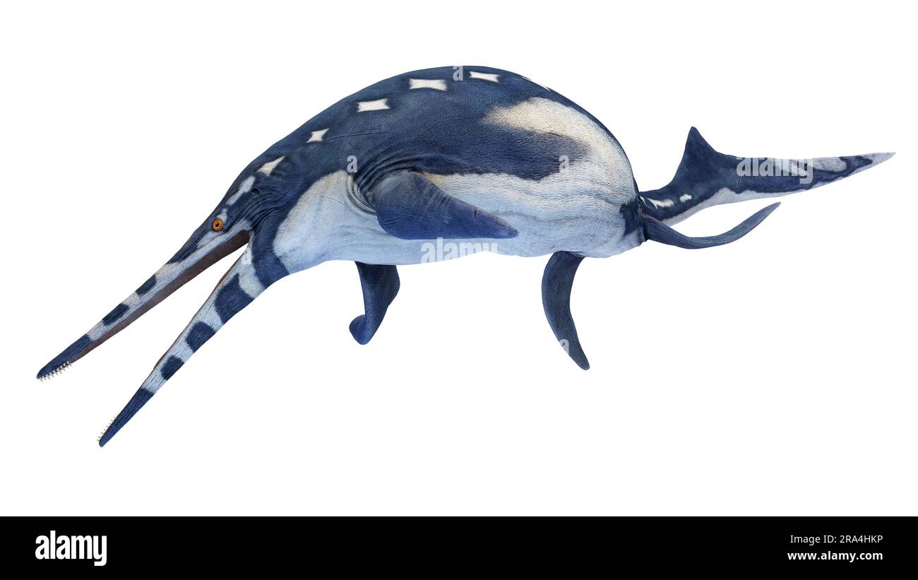 Shonisaurus ichthyosaur, illustration Stock Photo - Alamy