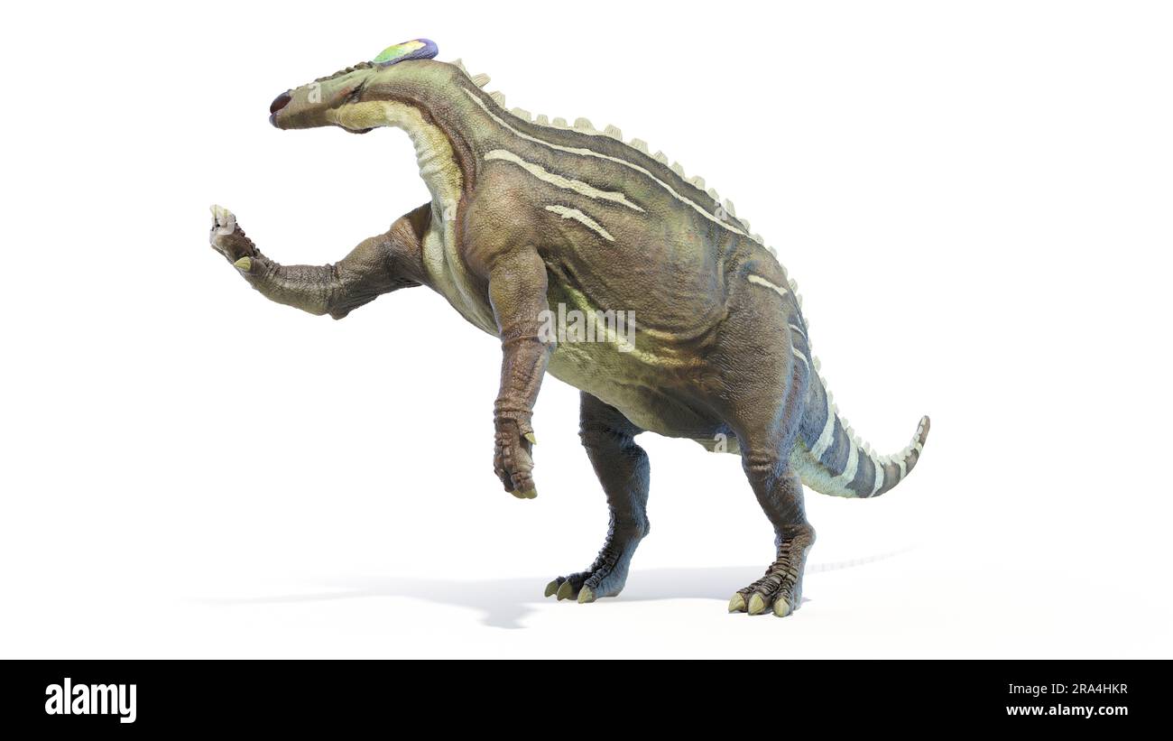Tsintaosaurus dinosaur, illustration Stock Photo - Alamy