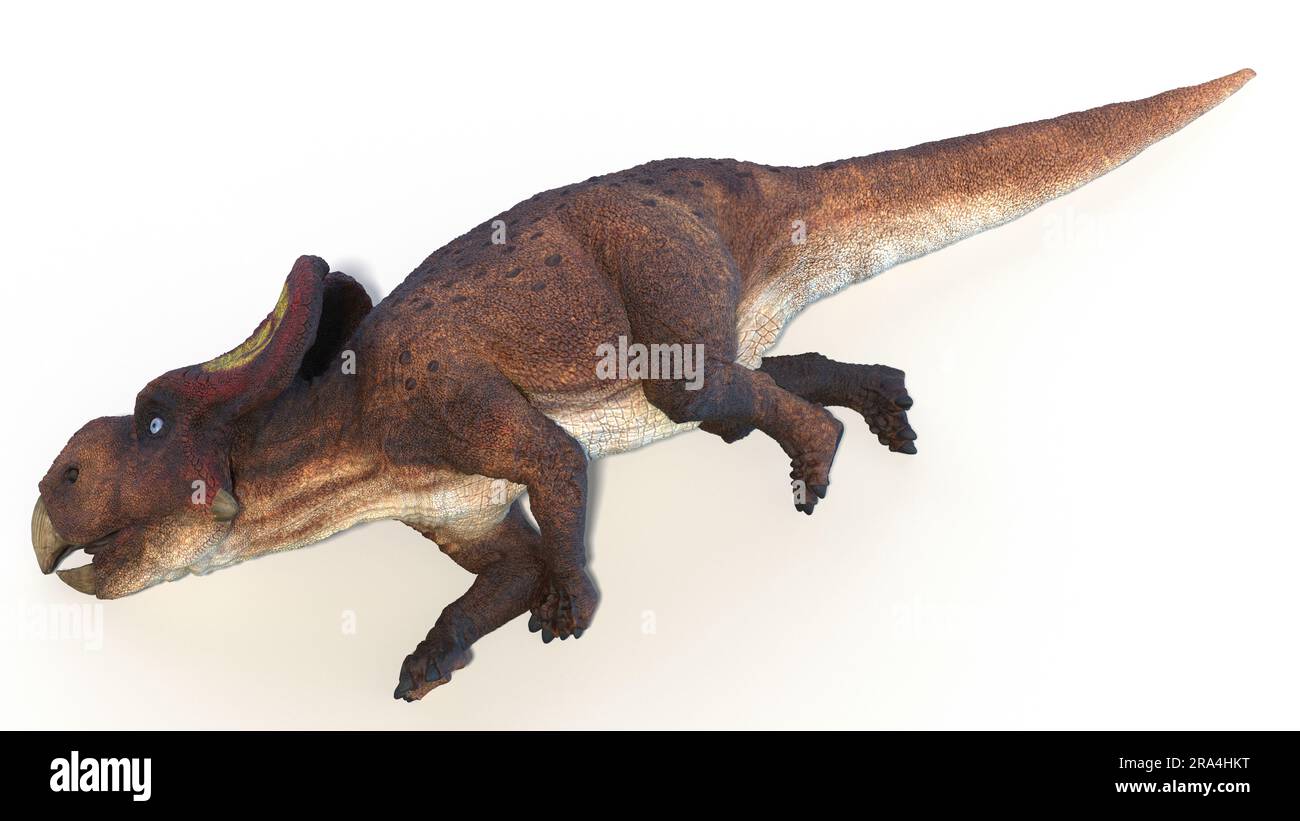 Protoceratops dinosaur, illustration Stock Photo - Alamy