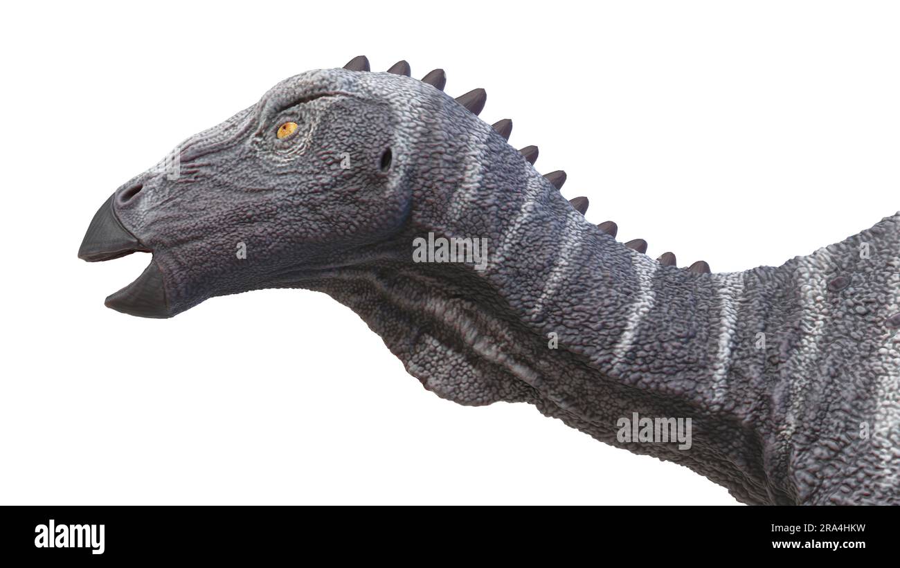 Thescelosaurus dinosaur, illustration Stock Photo - Alamy