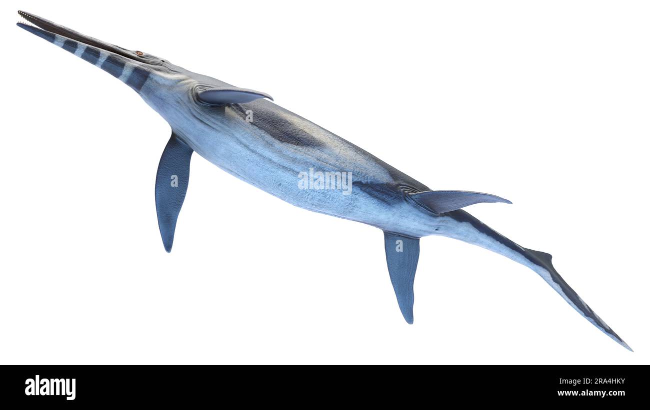 Shonisaurus ichthyosaur, illustration Stock Photo - Alamy