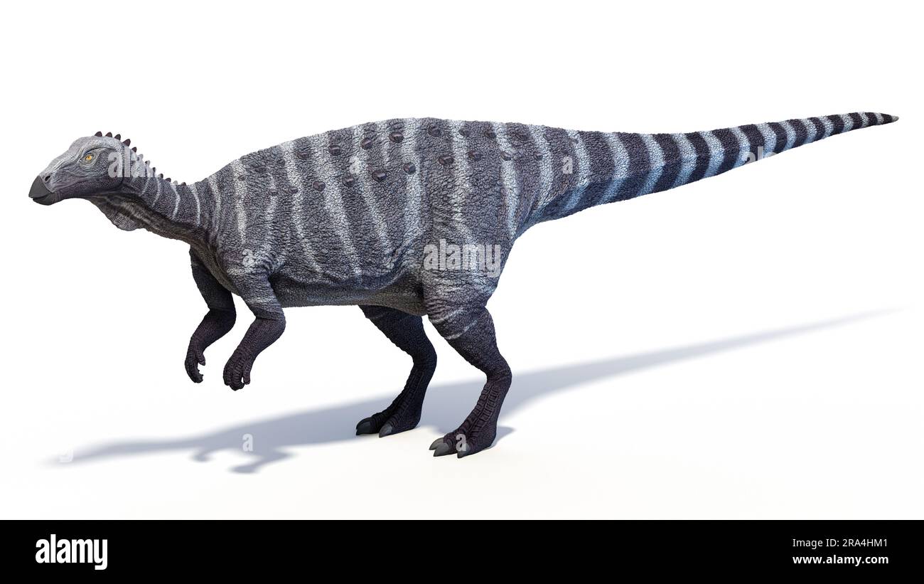 Thescelosaurus dinosaur, illustration Stock Photo - Alamy