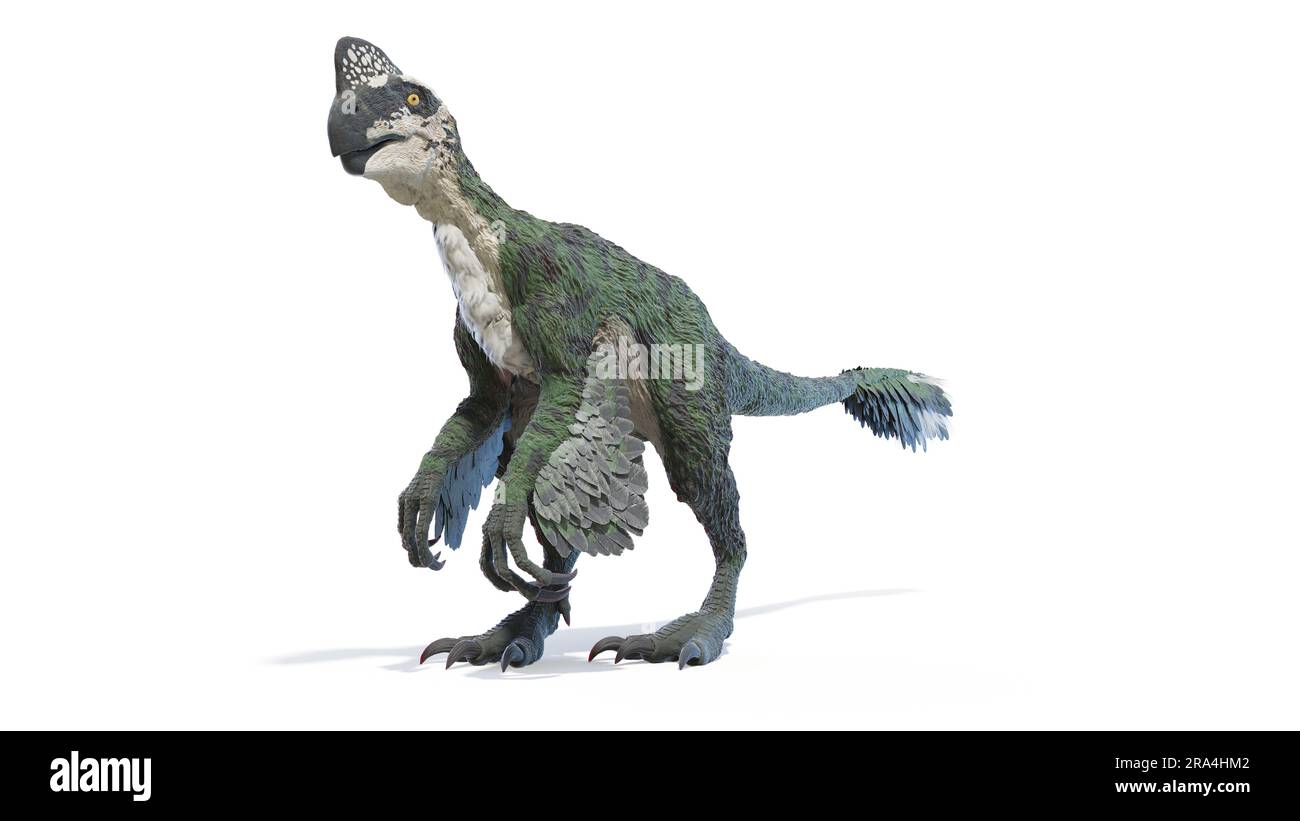 Oviraptor dinosaur, illustration Stock Photo - Alamy