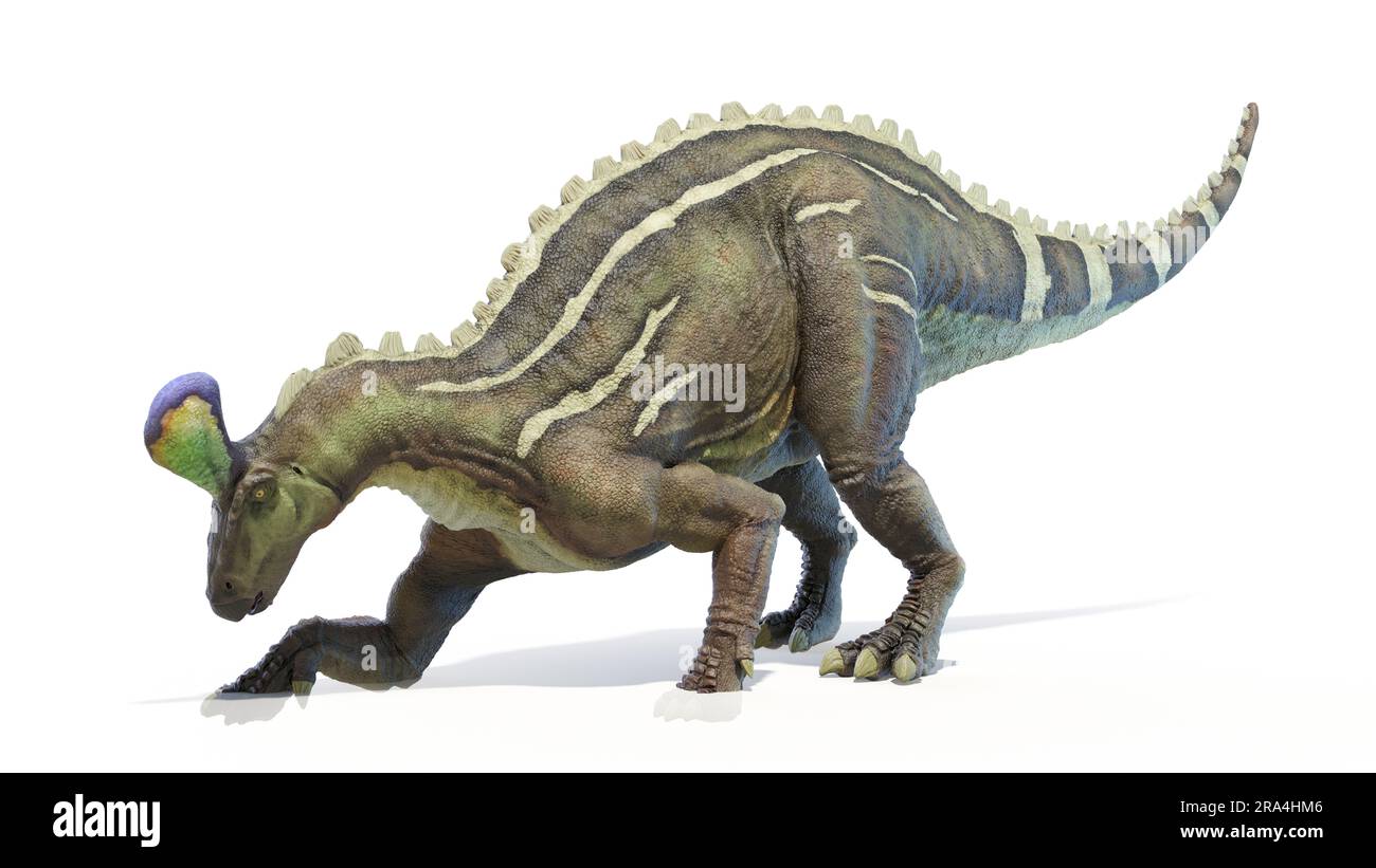 Tsintaosaurus dinosaur, illustration Stock Photo - Alamy