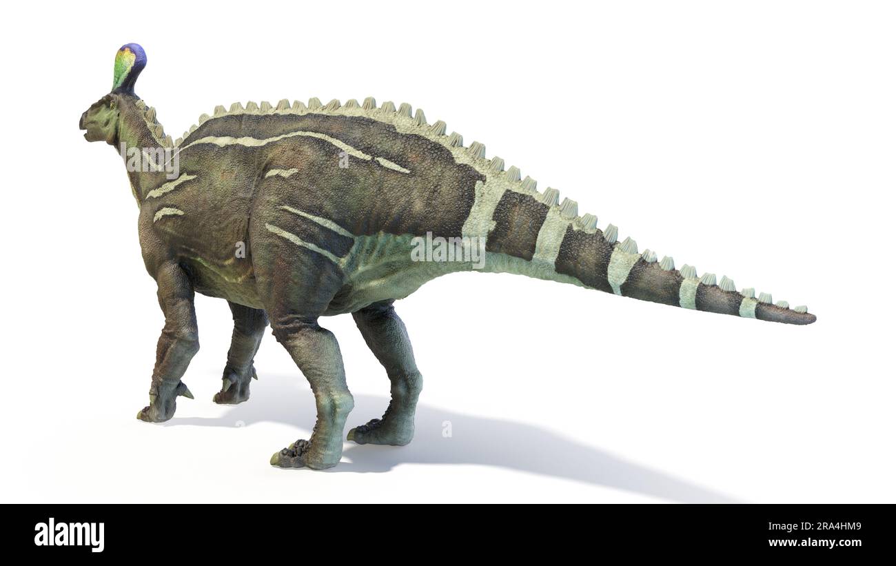 Tsintaosaurus dinosaur, illustration Stock Photo - Alamy