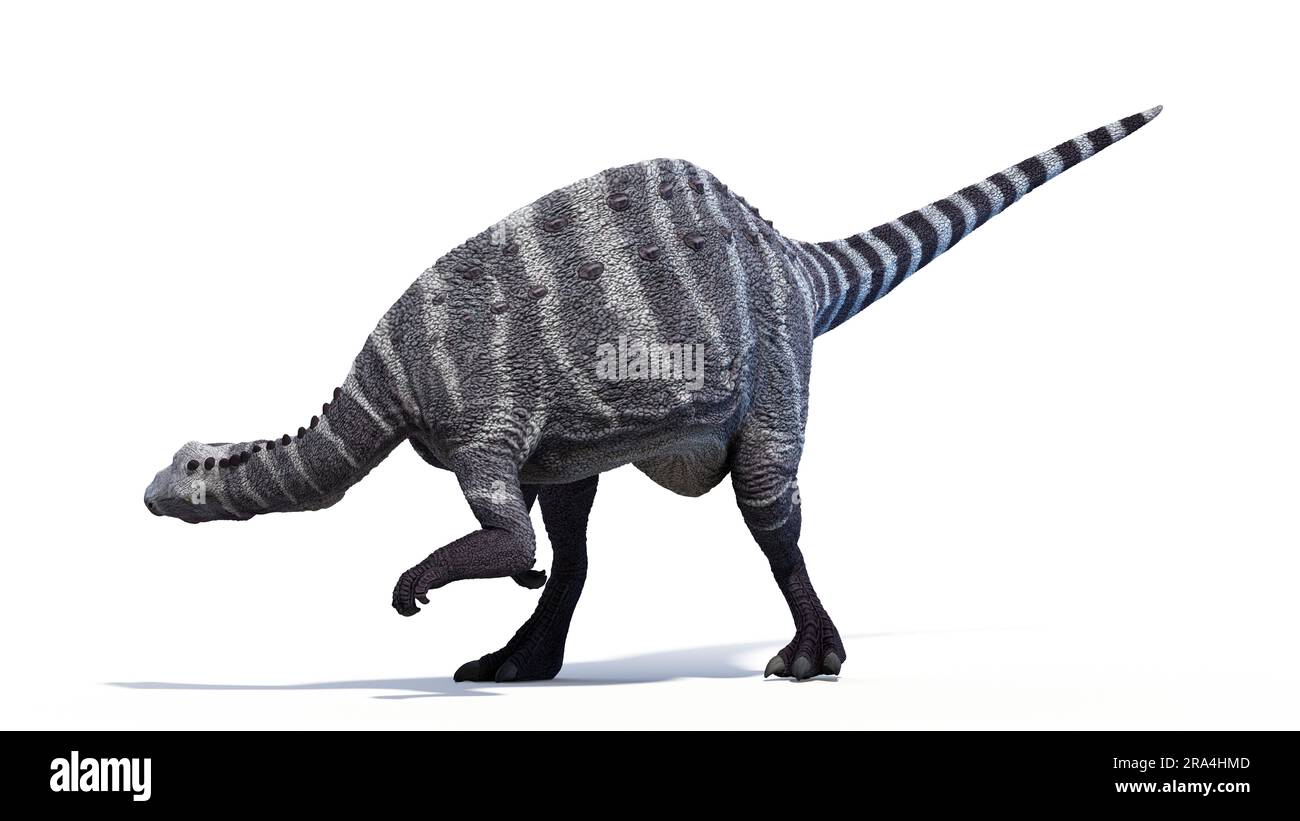 Thescelosaurus dinosaur, illustration Stock Photo - Alamy
