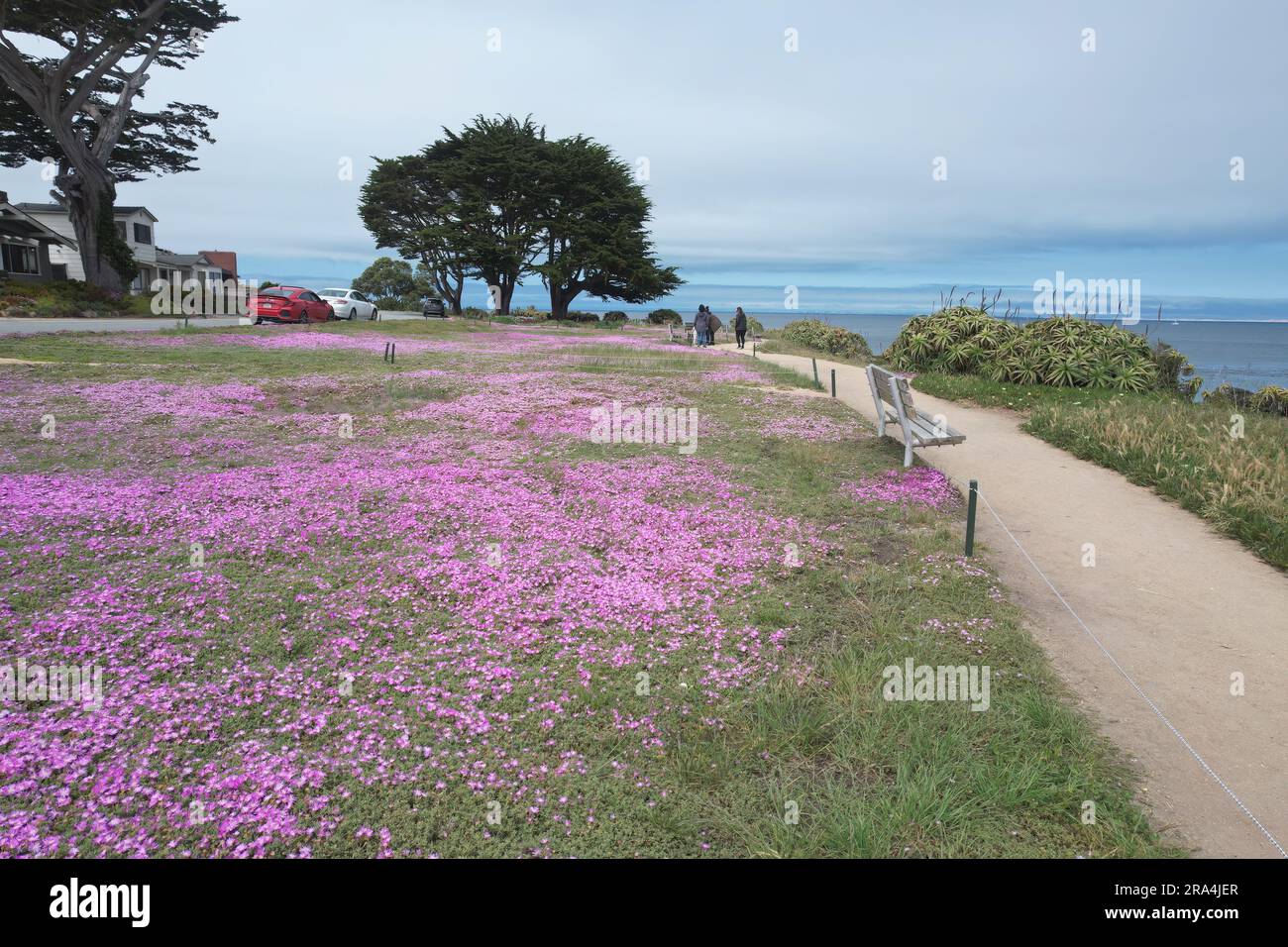 Aerial photo of Lovers Point in Monterey California Stock Photo - Alamy