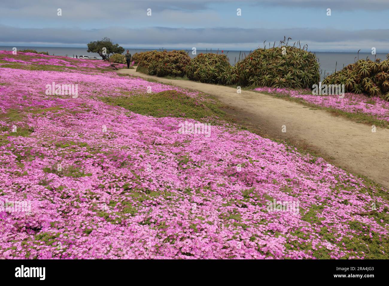 Photo of Lovers Point in Monterey California Stock Photo - Alamy