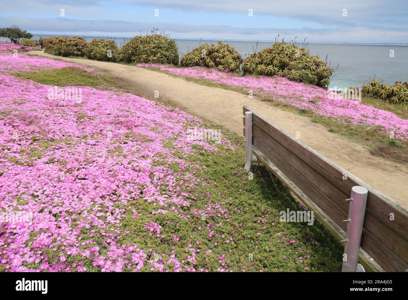 Photo of Lovers Point in Monterey California Stock Photo - Alamy