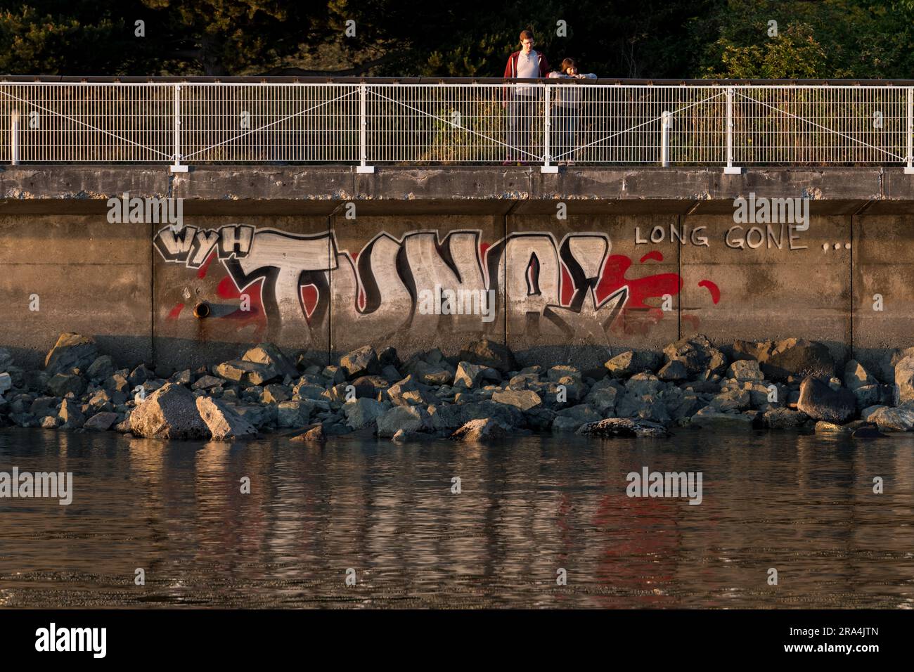 Seattle, USA. 27 Jun, 2023. Downtown Seattle Graffiti Stock Photo - Alamy