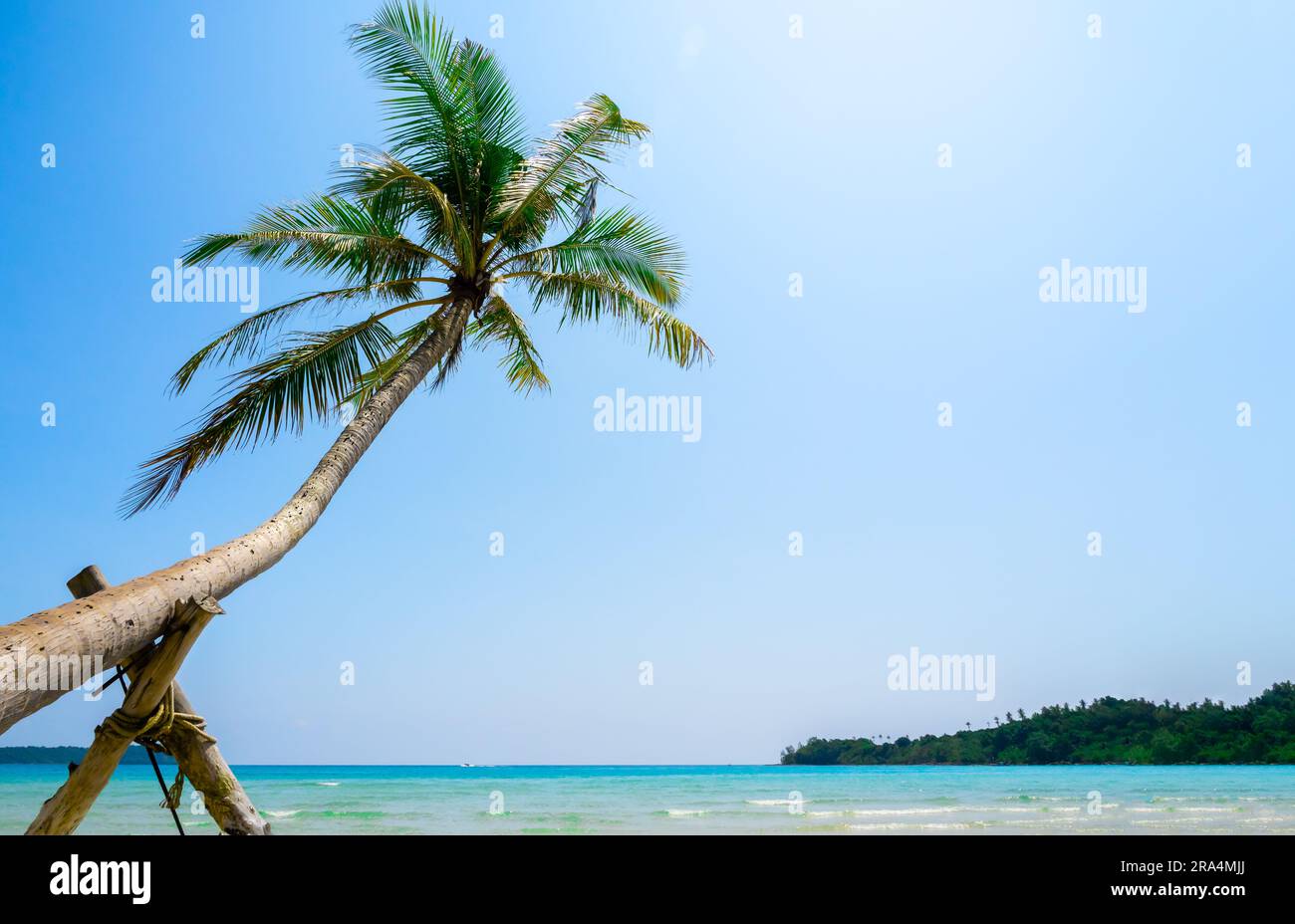 Bright seascape on sunny day. Summer background with bent tropical ...