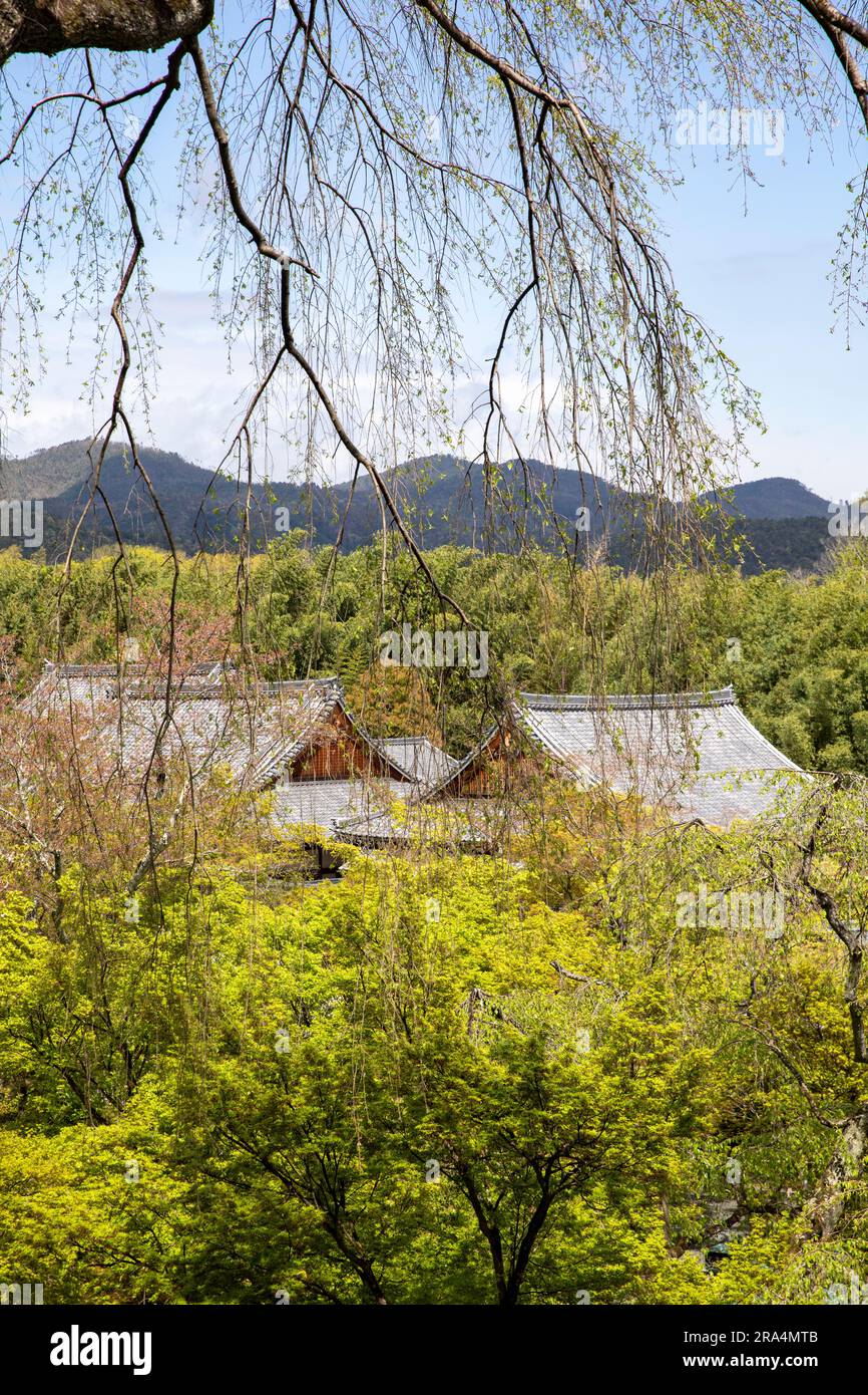 Tenryu - ji temple grounds, Kyoto, Japan,2023 and its famous scenic zen ...