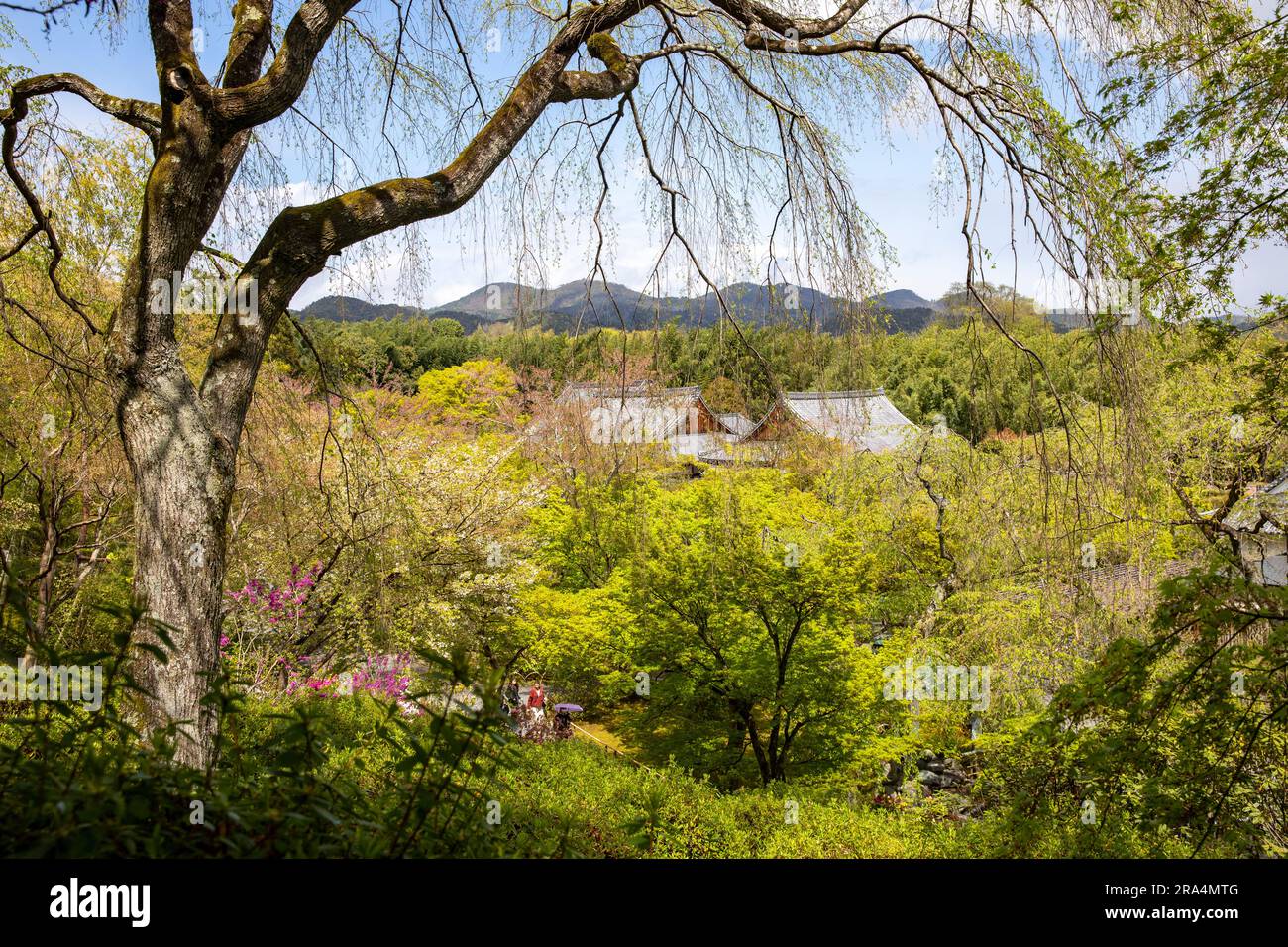 Tenryu - ji temple grounds, Kyoto, Japan,2023 and its famous scenic zen ...